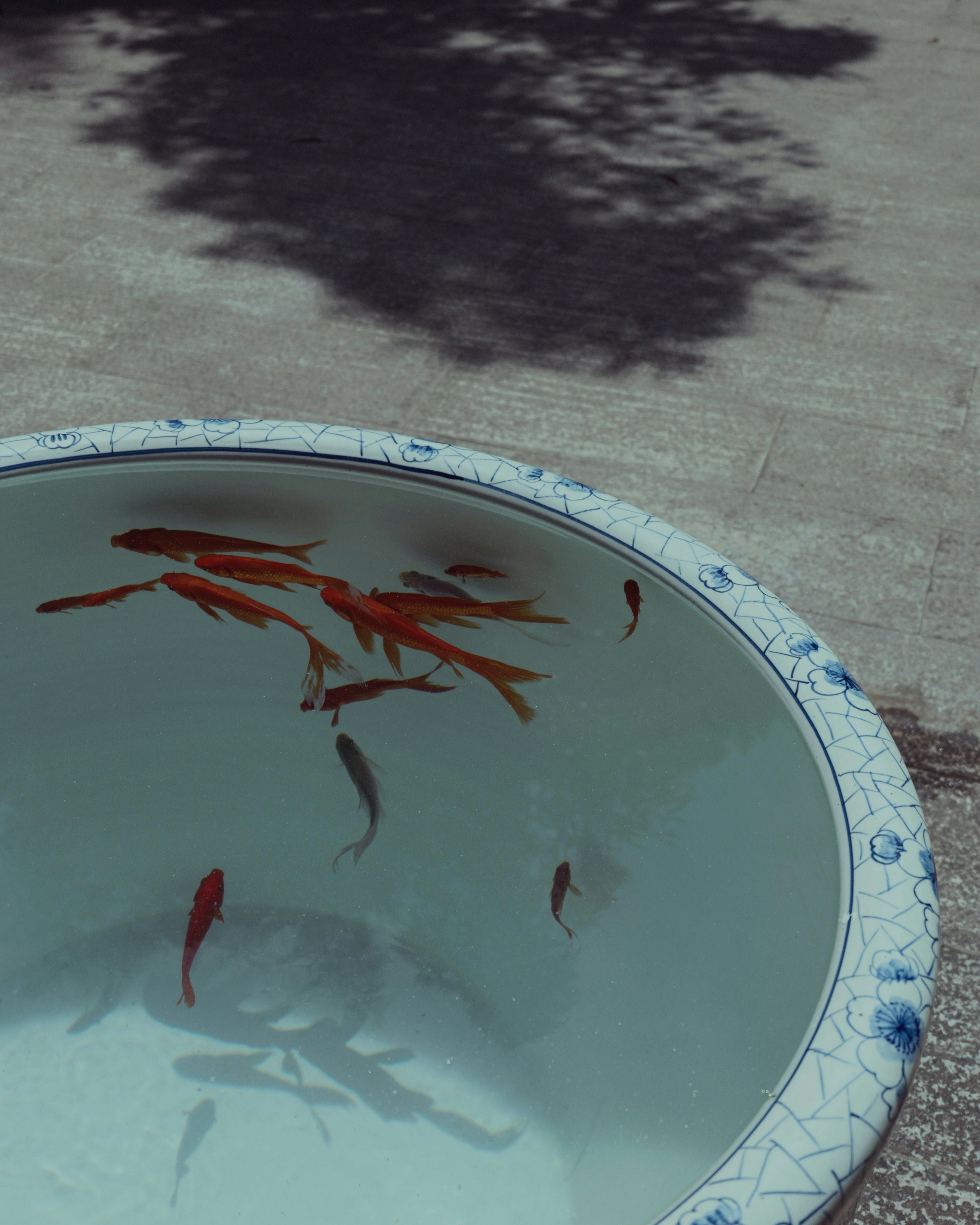 Photo by ㅤㅤㅤㅤ Roah with Panasonic Lumix S9