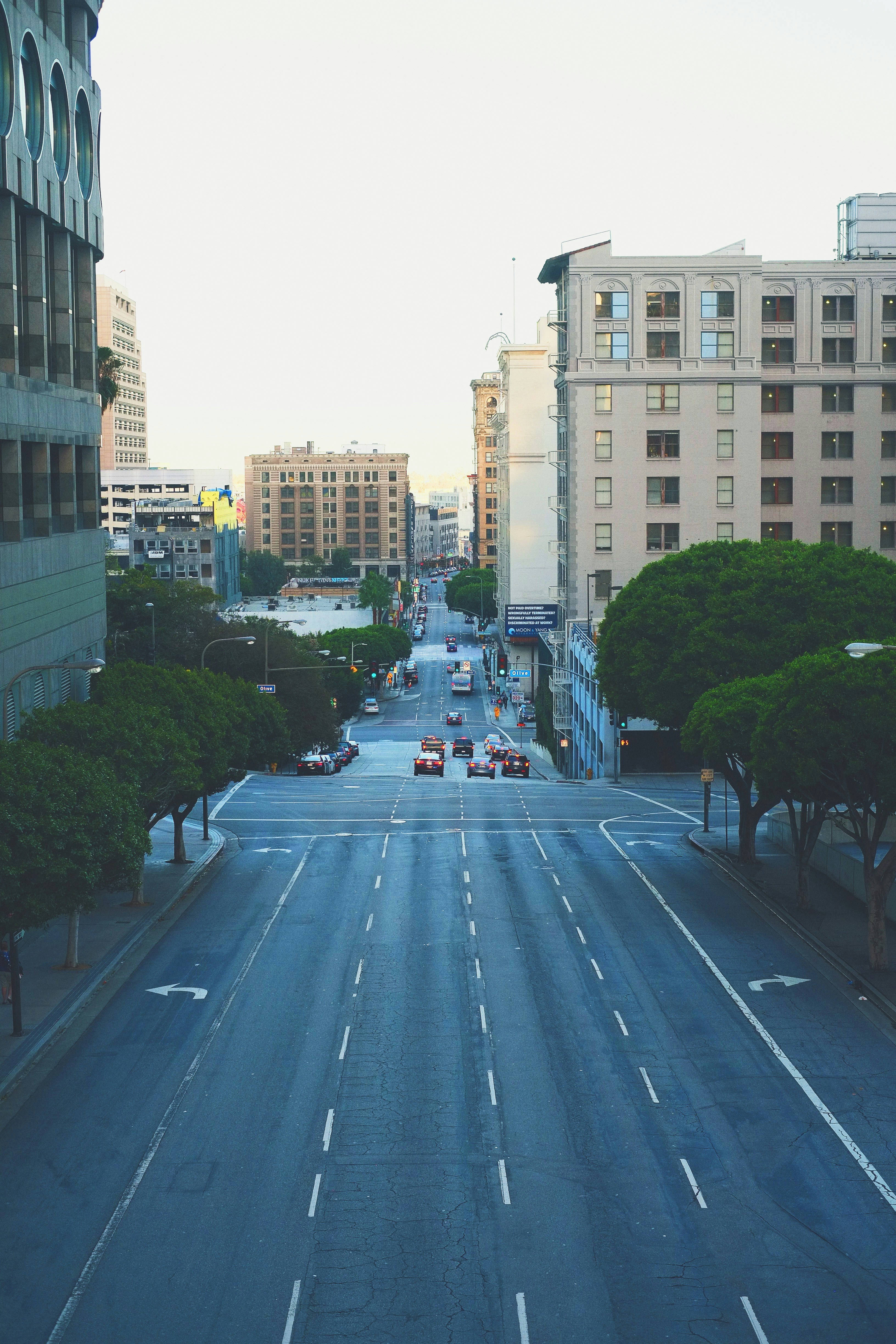 Empty city street lined with trees and buildings, capturing the stillness of urban life. The perspective draws the eye towards the horizon.