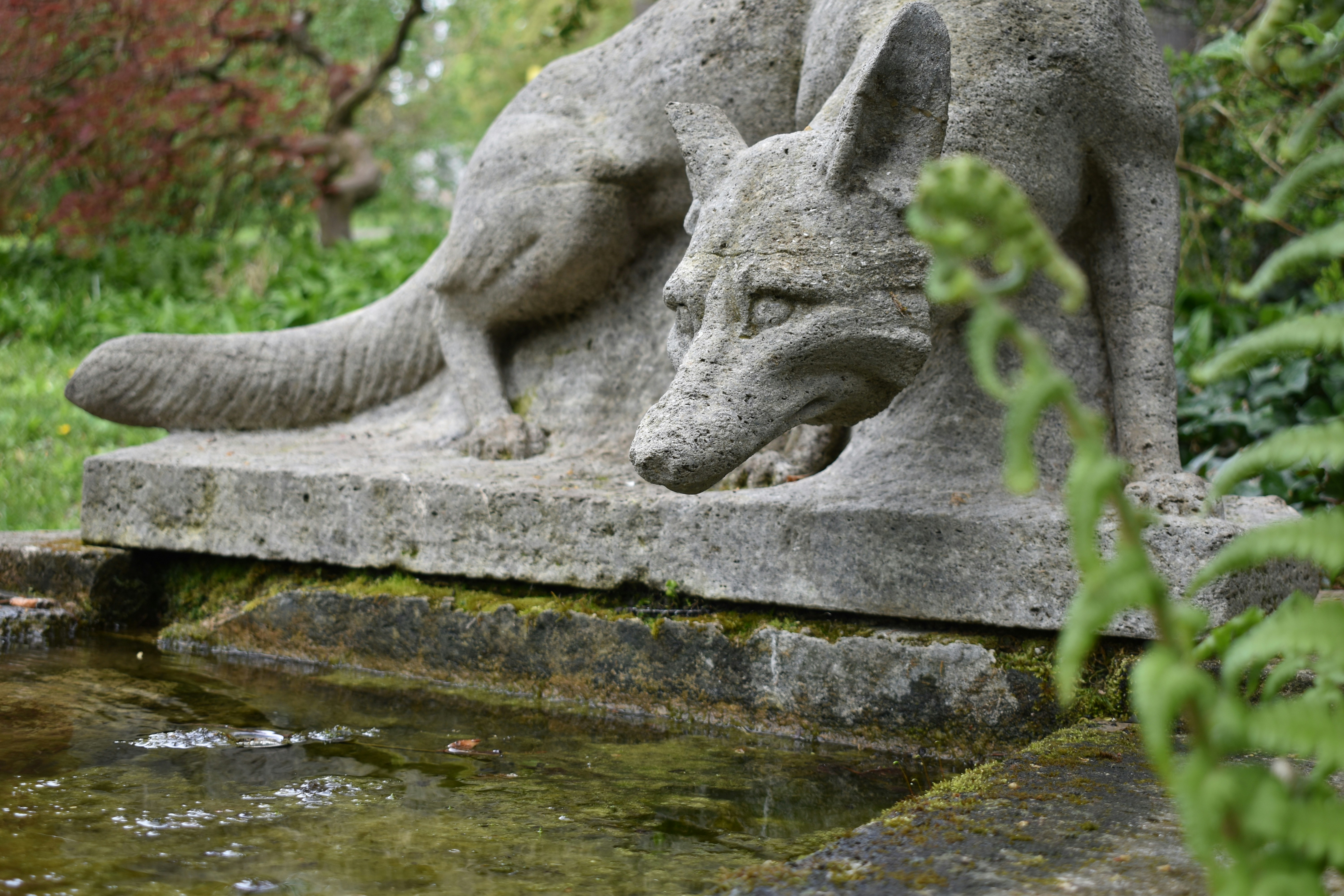 Photo by Andrew Ebrahim with Nikon D3500