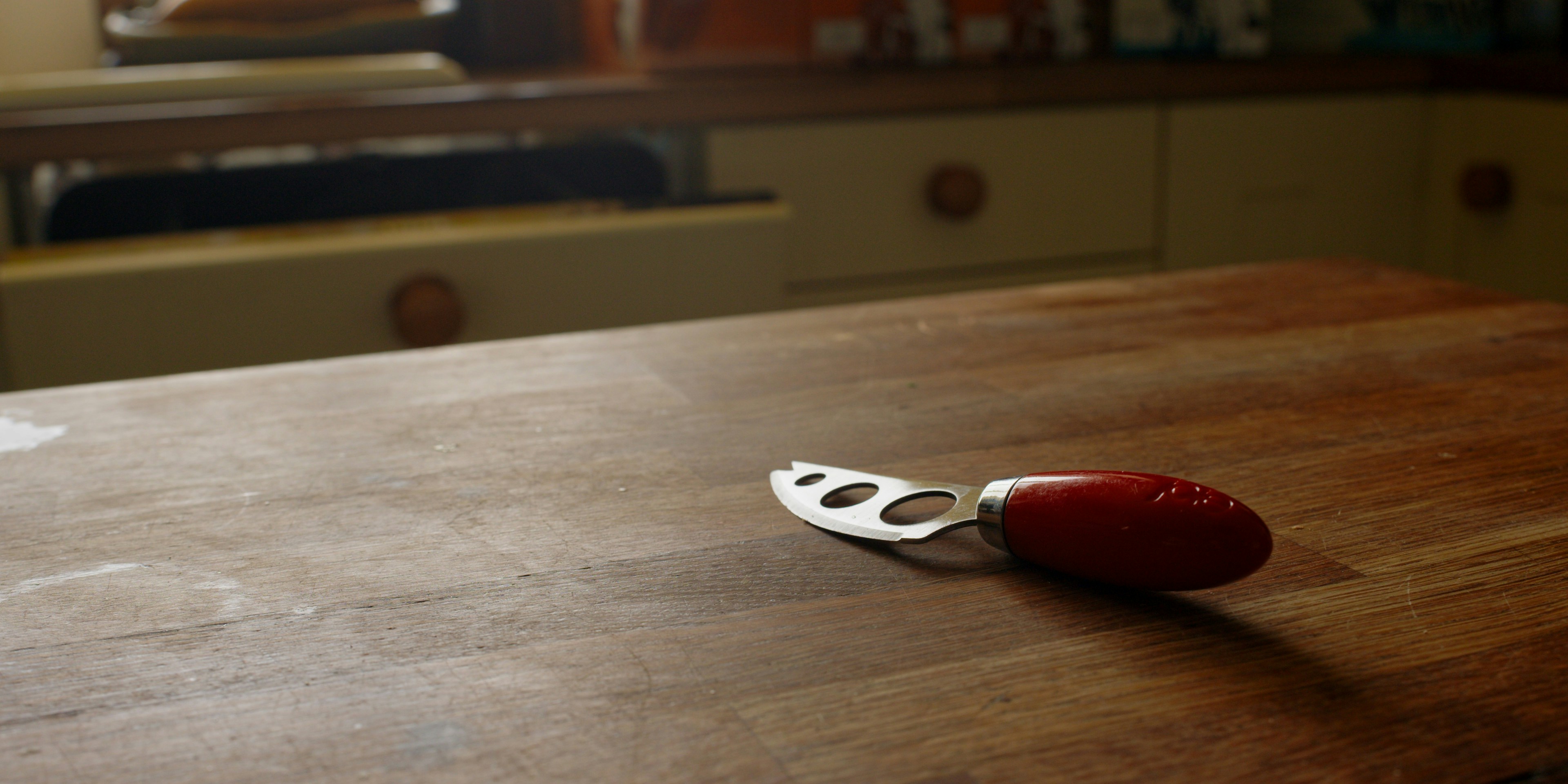 A Culinary Companion's Solitude