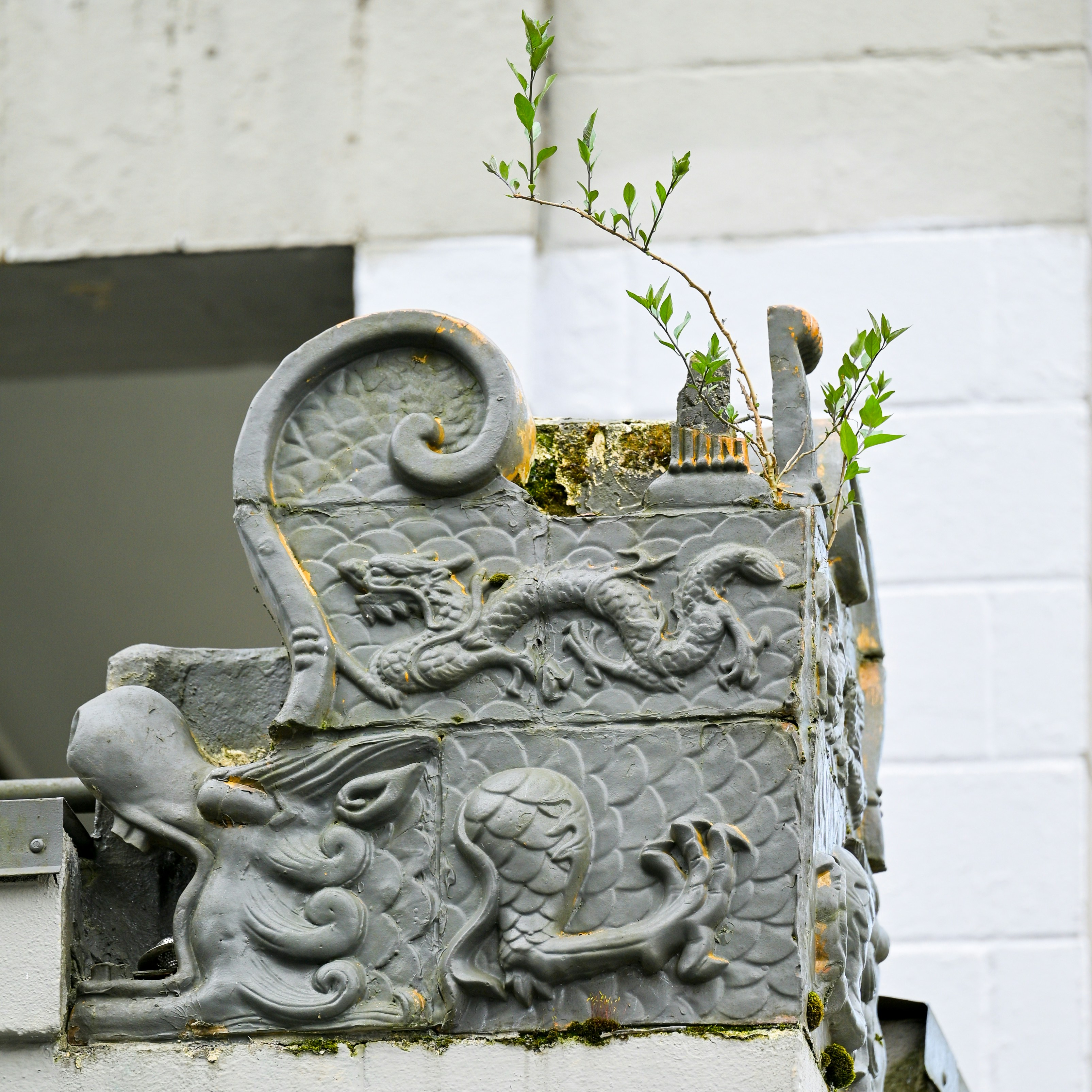 Carved Dragon Frieze with Green Sprouts in Concrete Vessel
