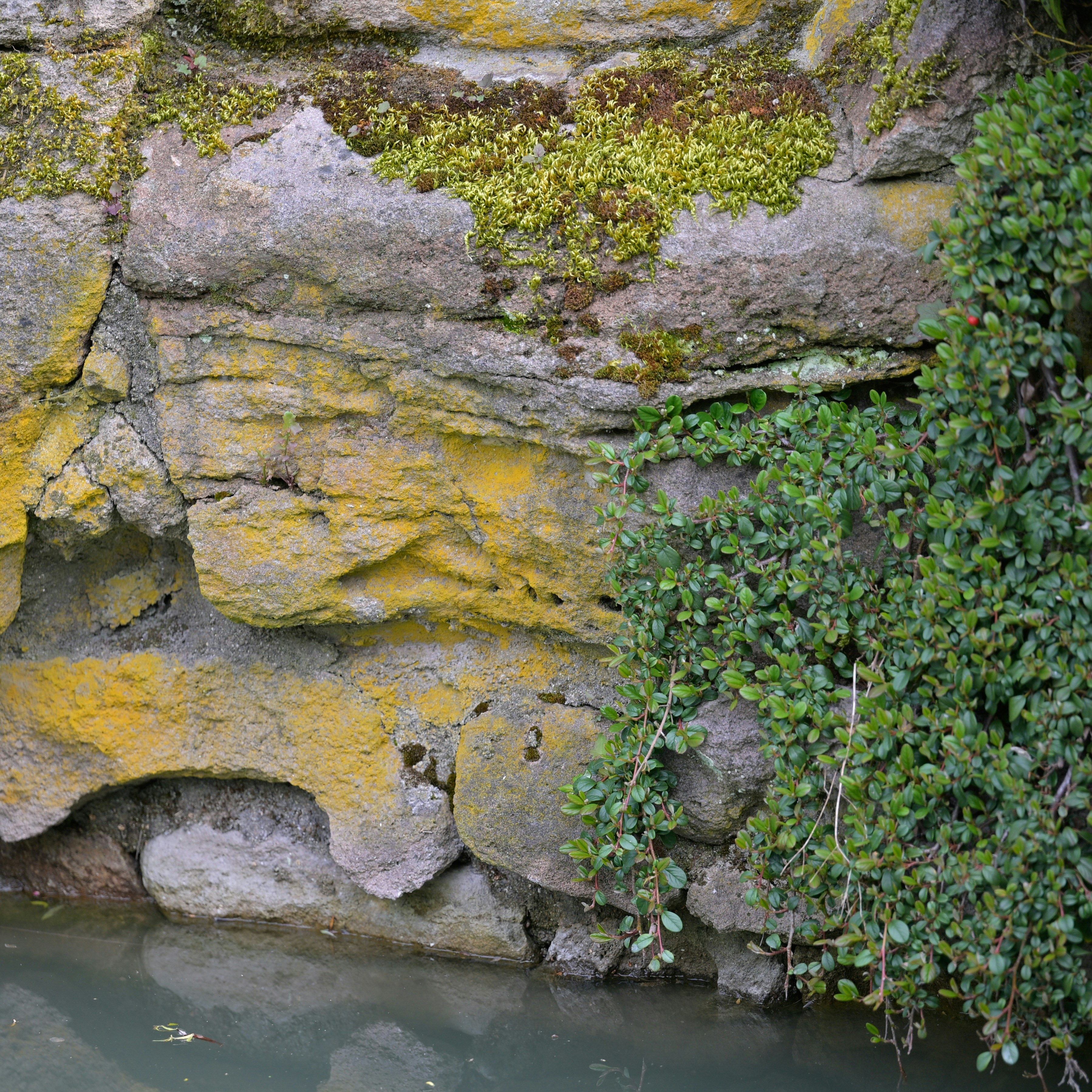 Photo by Jonathan Lim with Nikon Zf