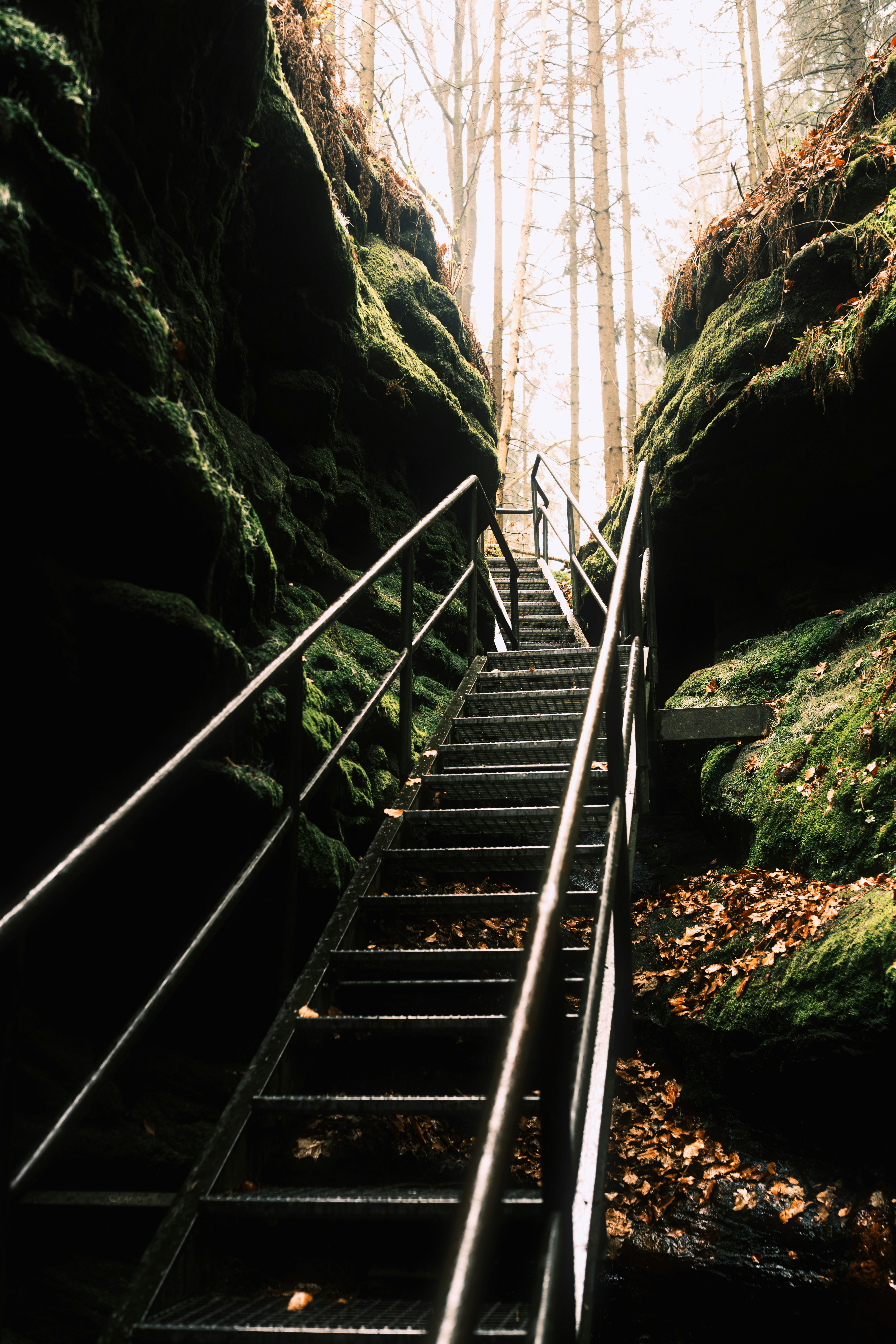 Winding metal staircase leads through moss-covered rock formations in a serene forest setting. Sunlight filters through the trees, illuminating the path ahead.