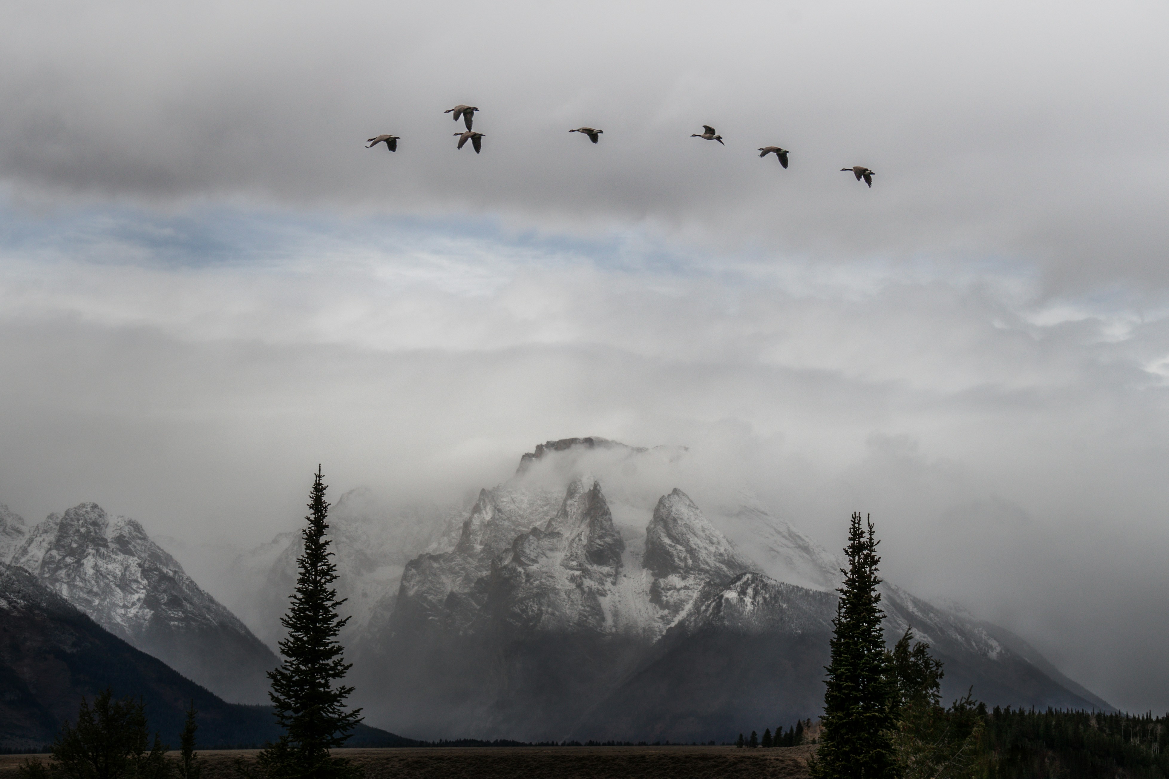 Birds fly over snow-capped mountains in overcast weather. photo – Free ...