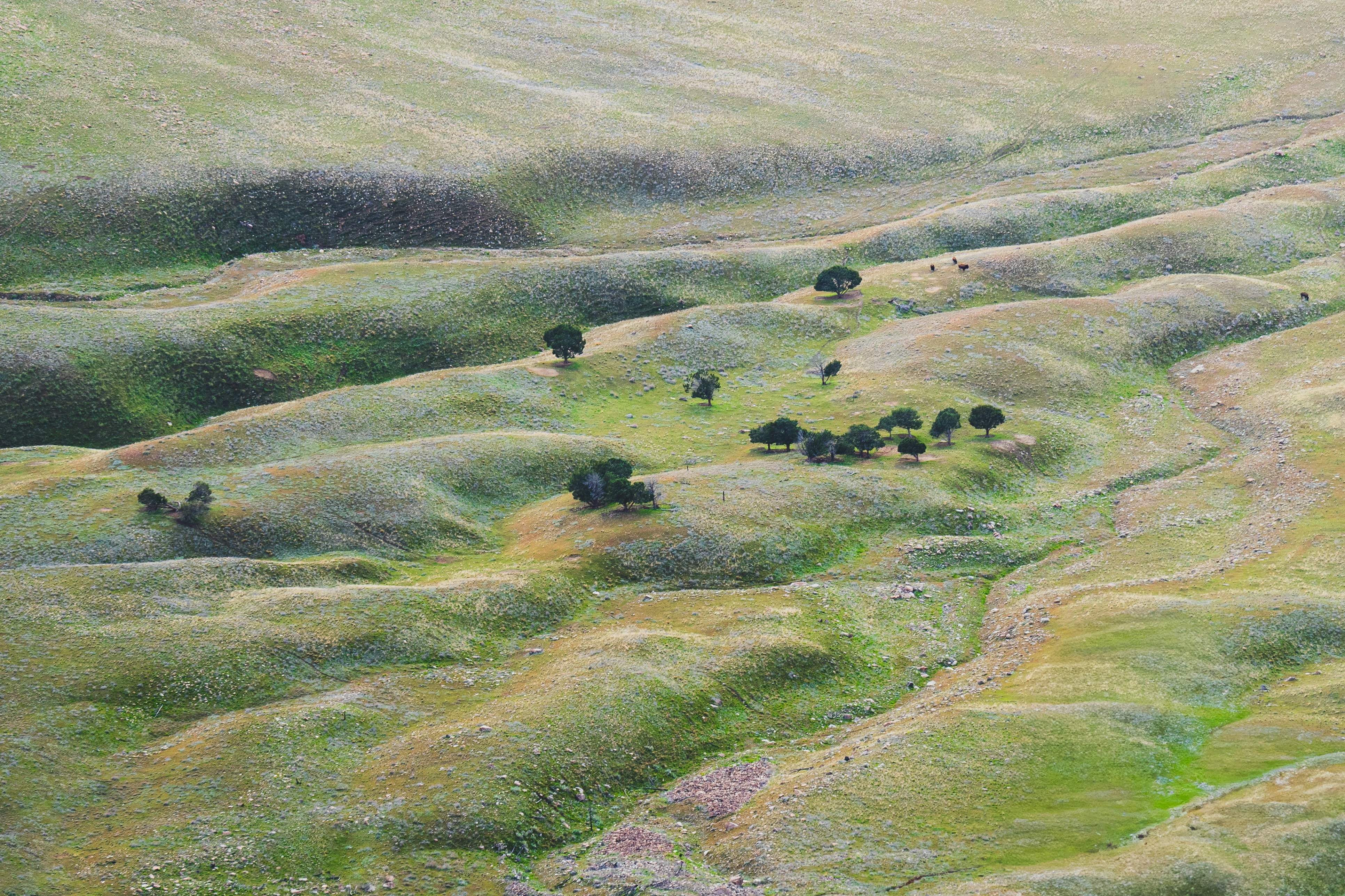 Harrison Steen (@pics_by_harry) | Unsplash Photo Community