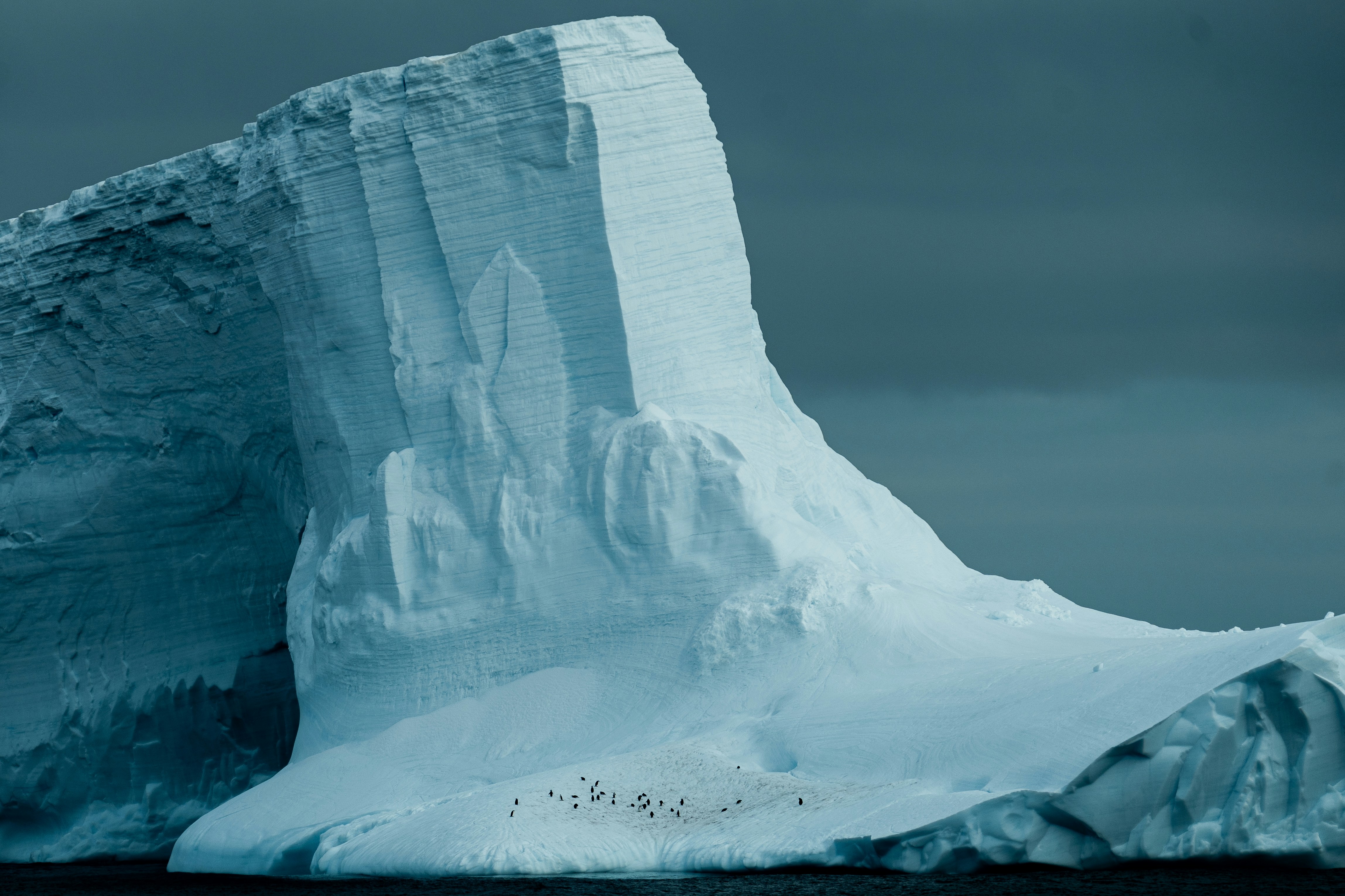 Photo by Matthew Stephenson with Sony Alpha 7 IV