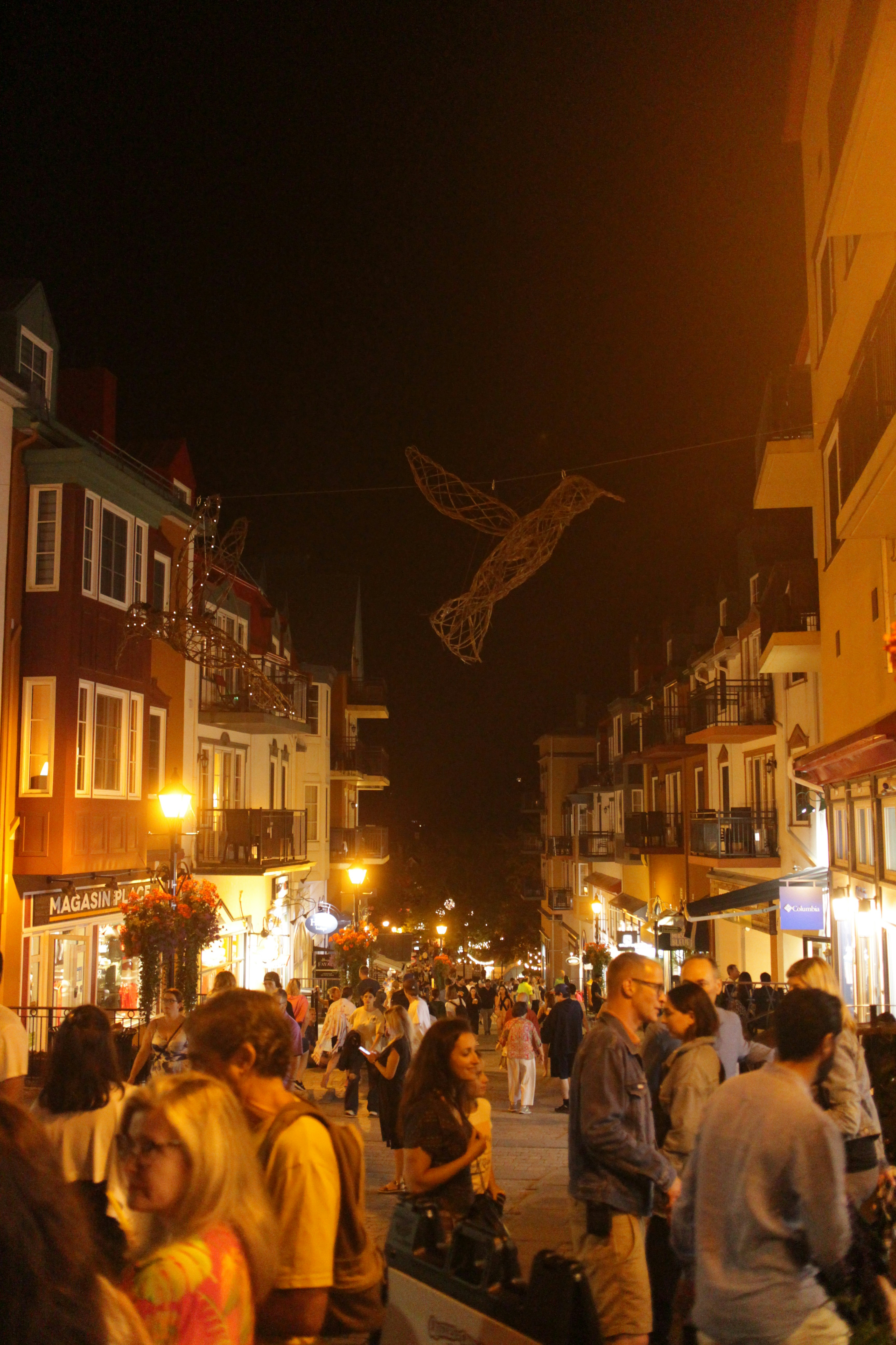 Lanterned Street Festival under a Wireframe Hummingbird