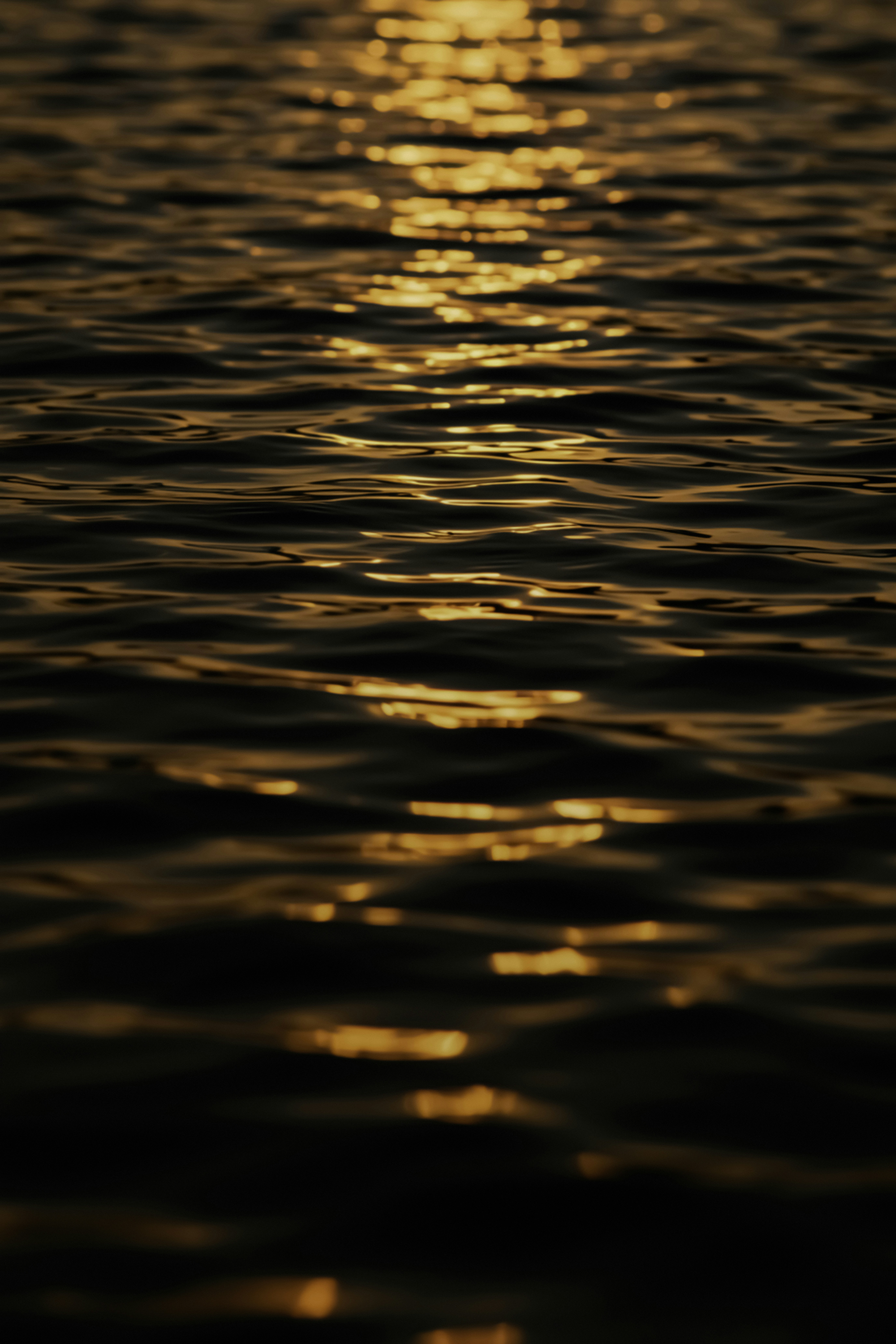 Polotno Studio - Make graphical designs