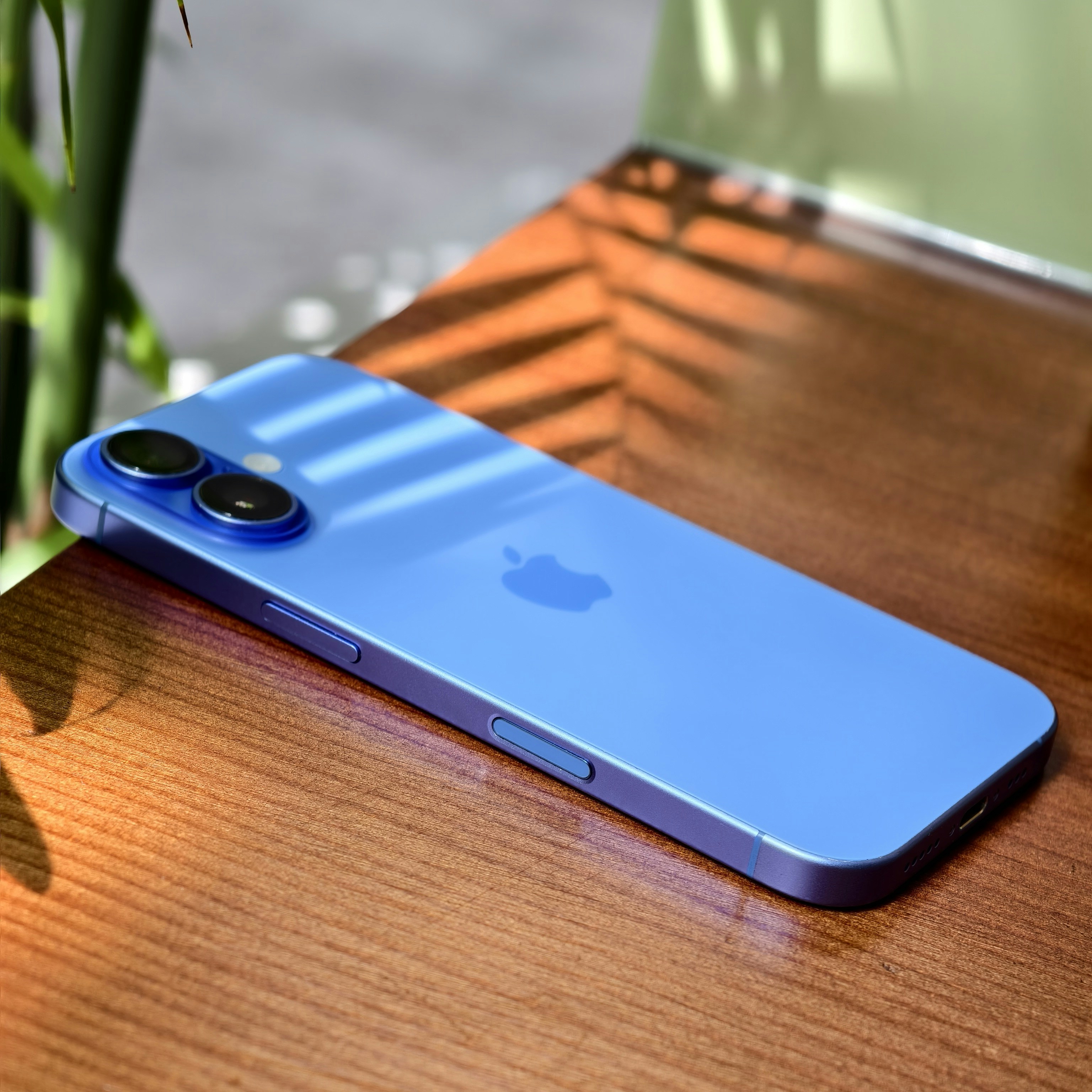 Sample photo from Vivo X200 Pro