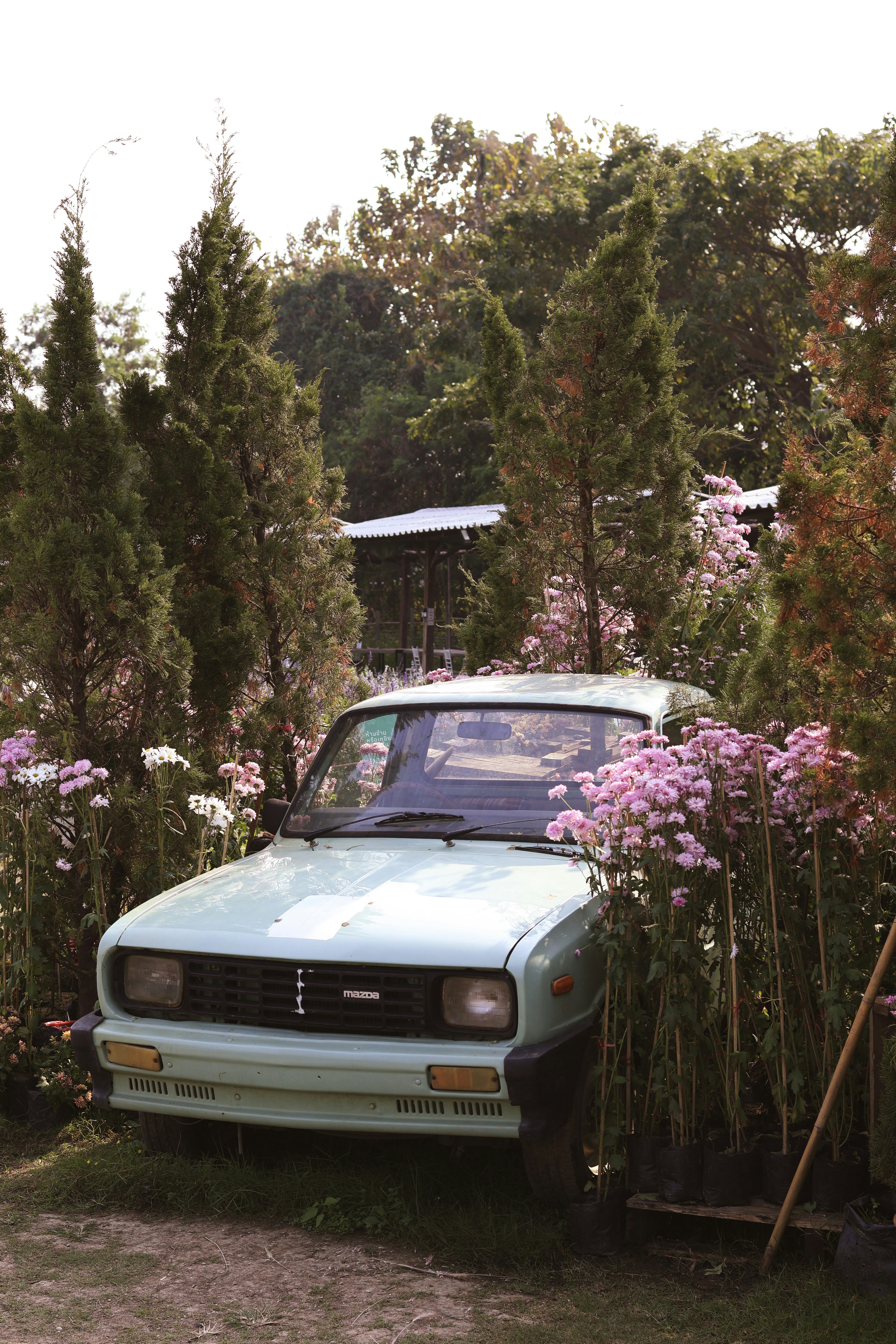 Photo by Maadhin Jaufar with Canon EOS R50