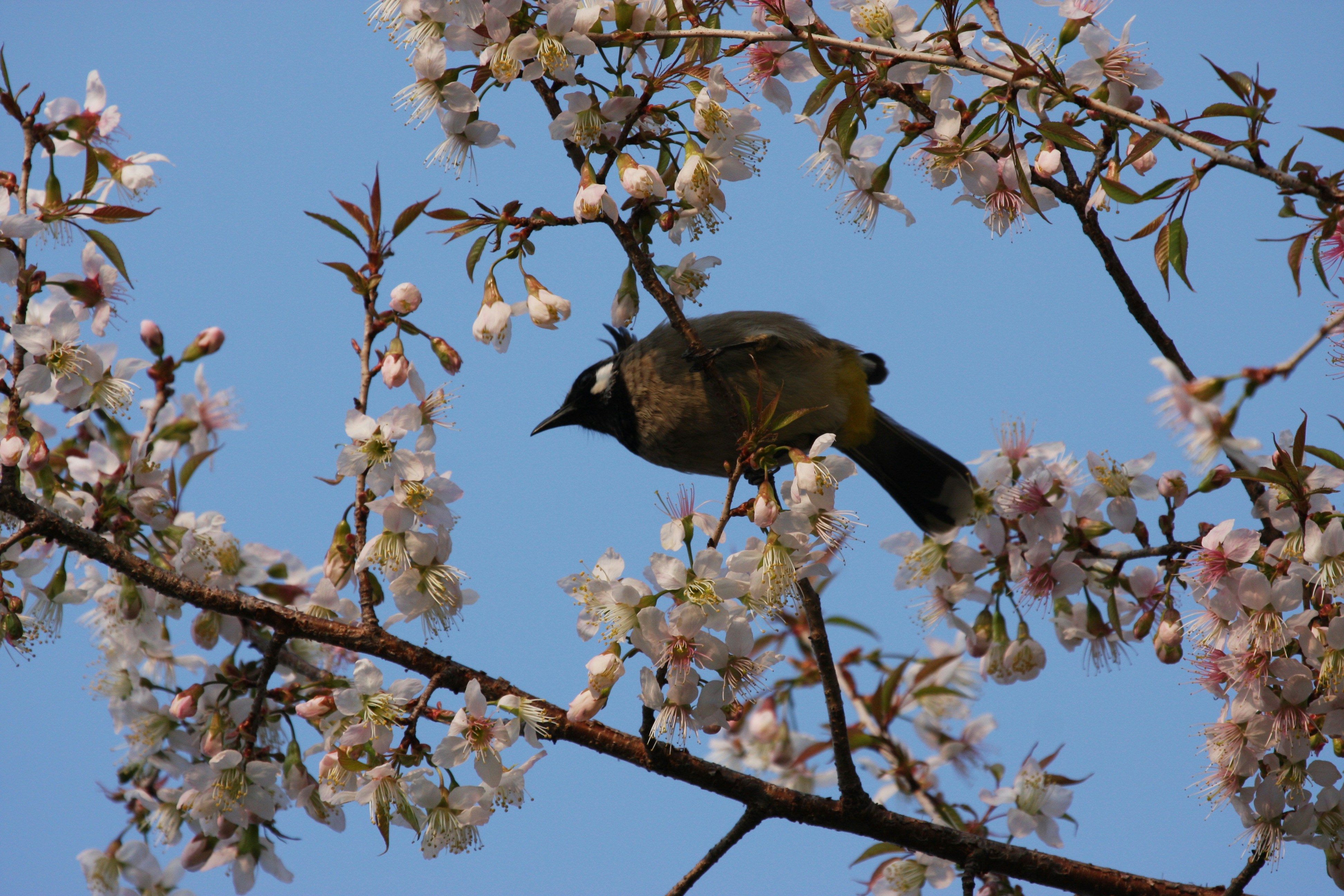 Photo by Suyash Batra with Canon EOS 40D