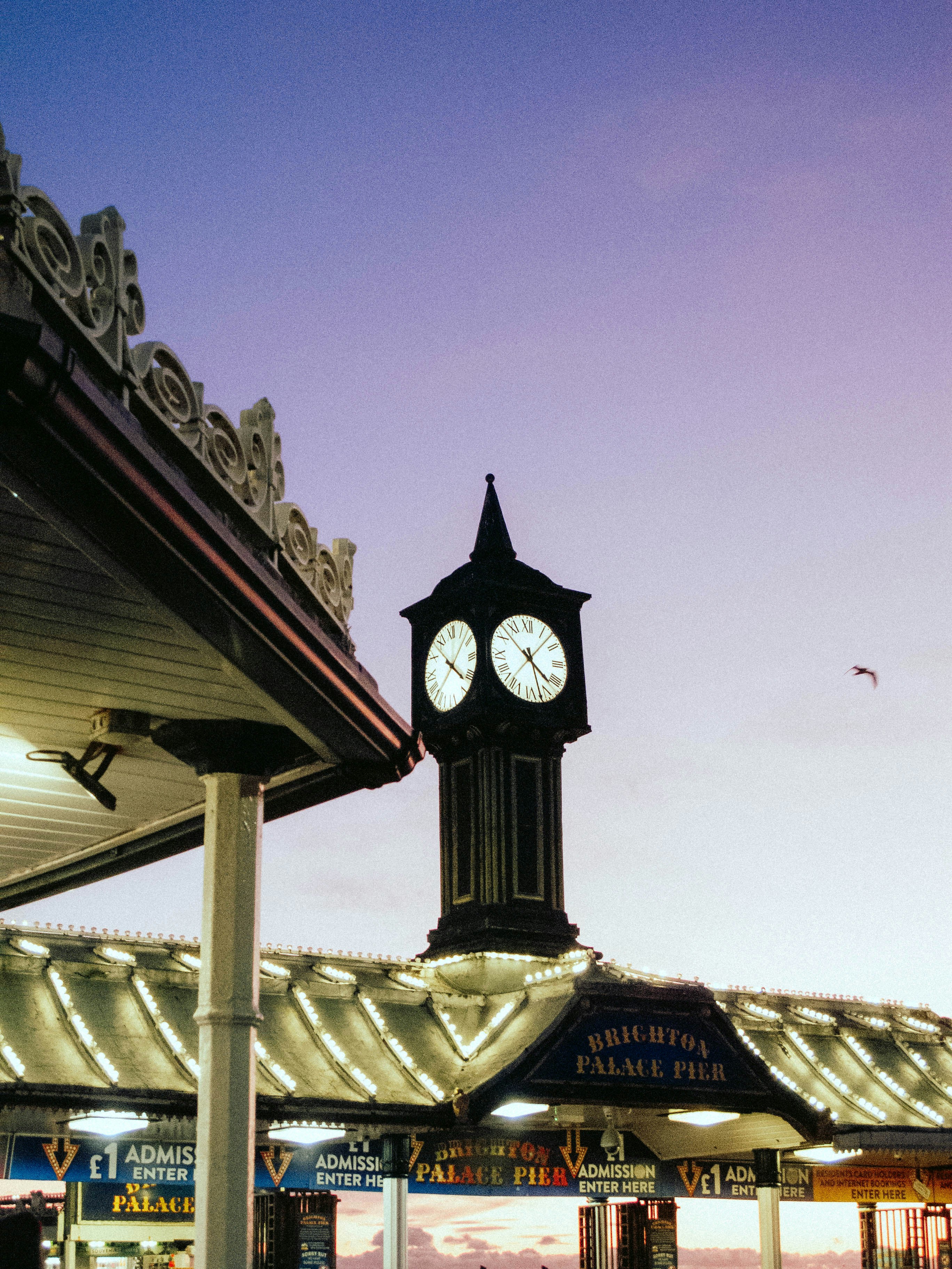 Clock tower with a bright clock face stands at the Brighton Palace Pier entrance during twilight. String lights outline the canopy as a lone seagull glides across the gradient sky.