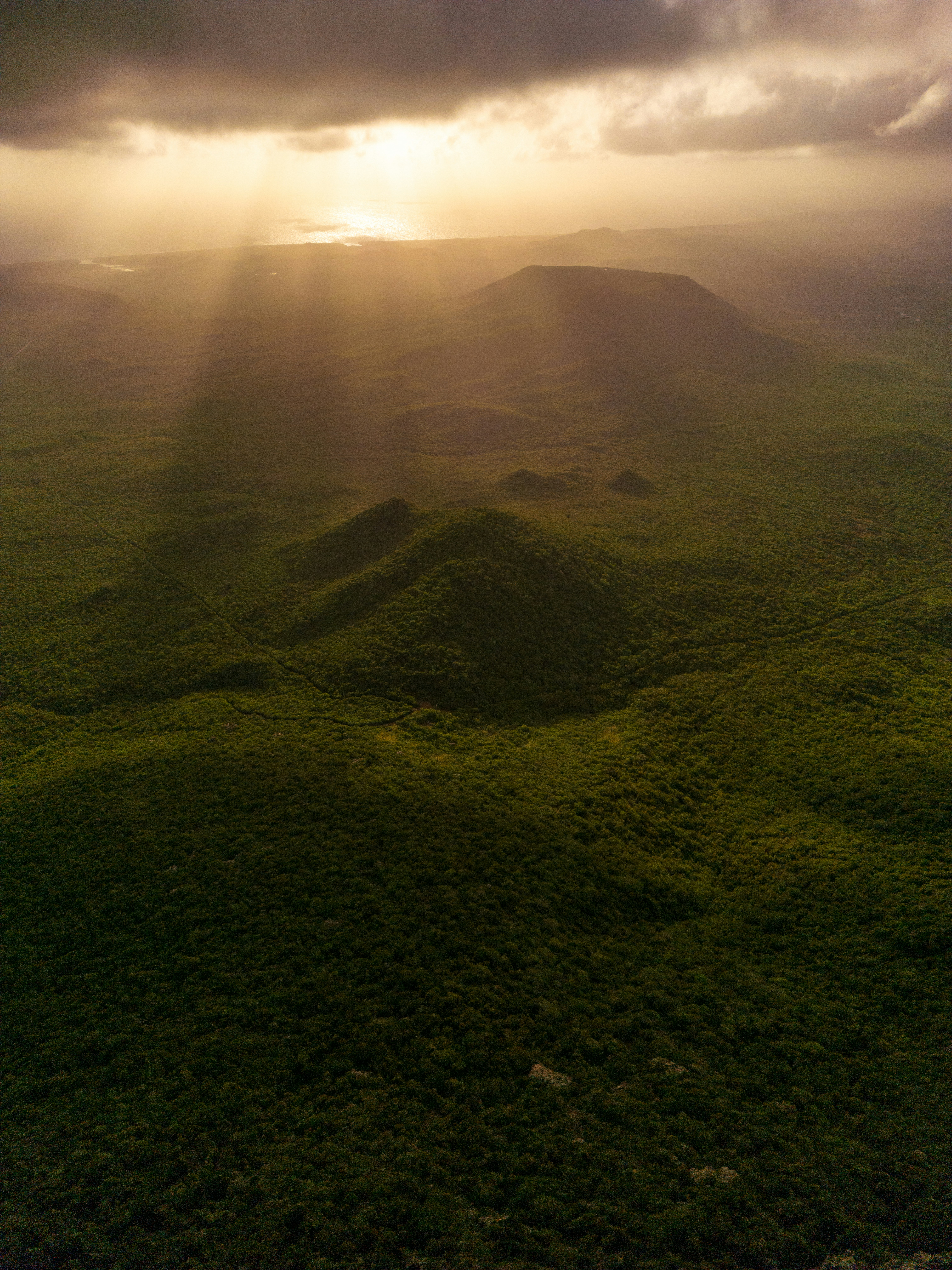 Golden Ridge: Sunbeams Piercing the Mangrove Sea