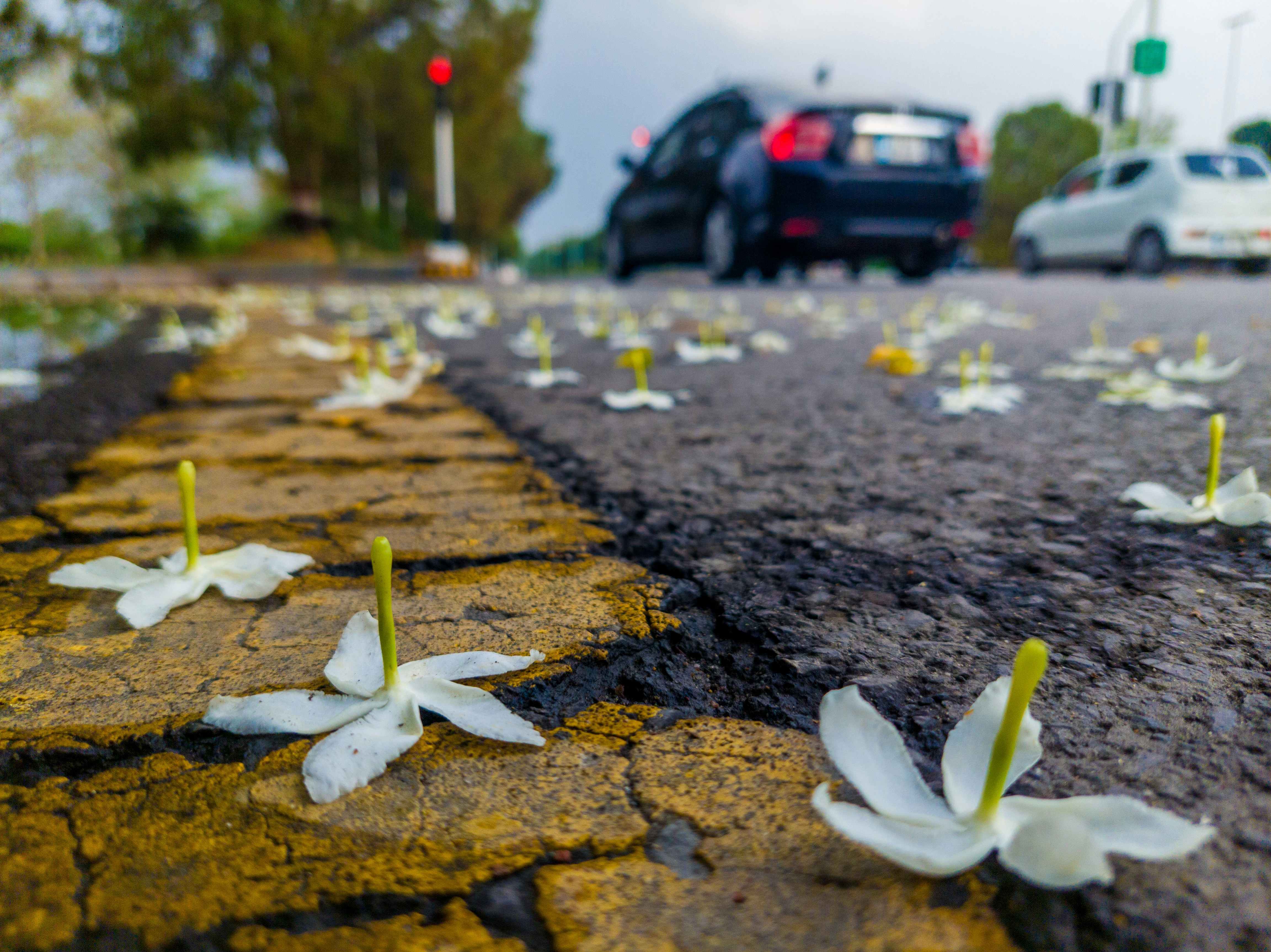 Photo by Atiq Ur rehman with Samsung Galaxy A52