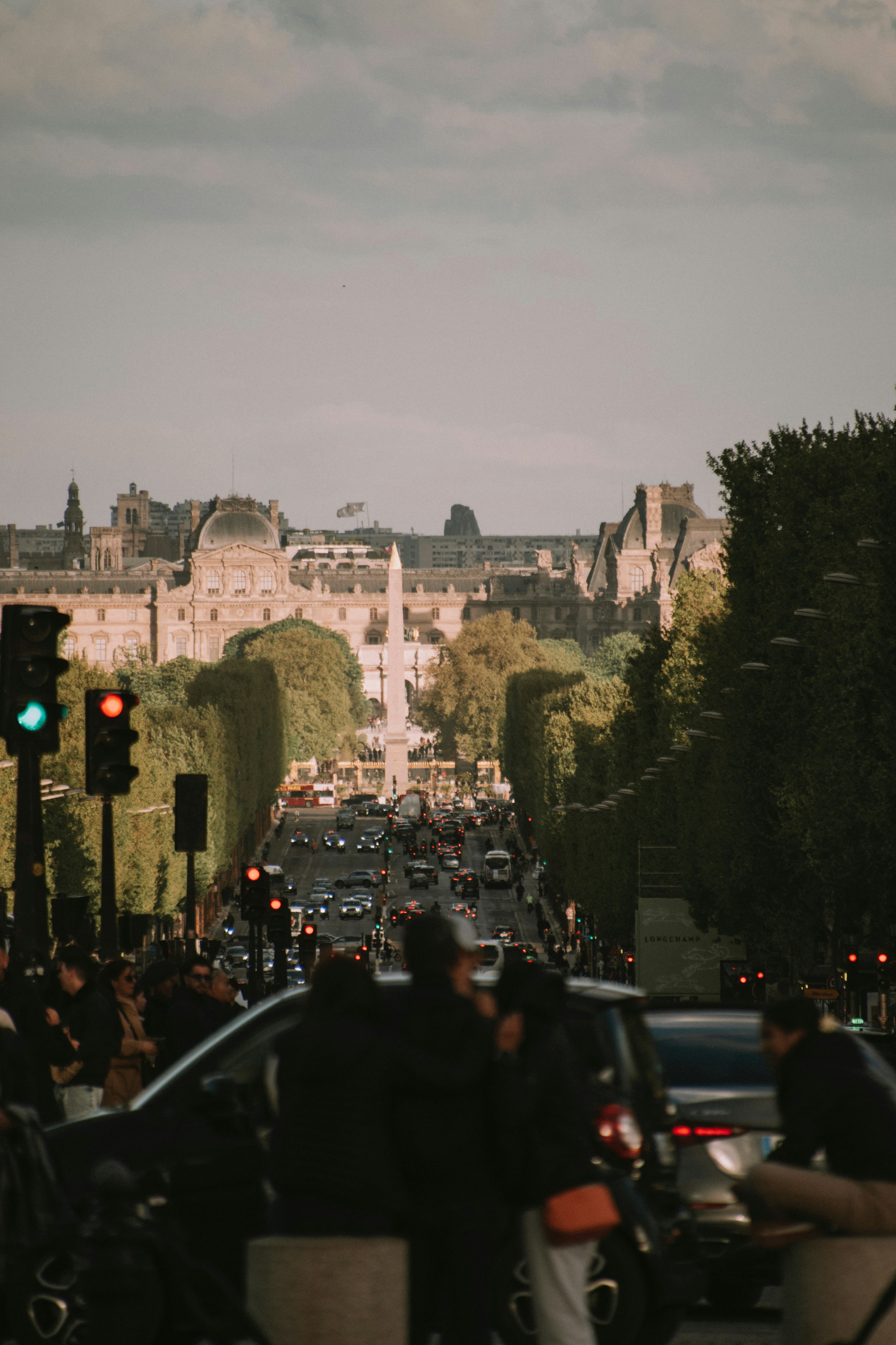 A City in Motion: Carriageways, Trees, and the Monumental Axis