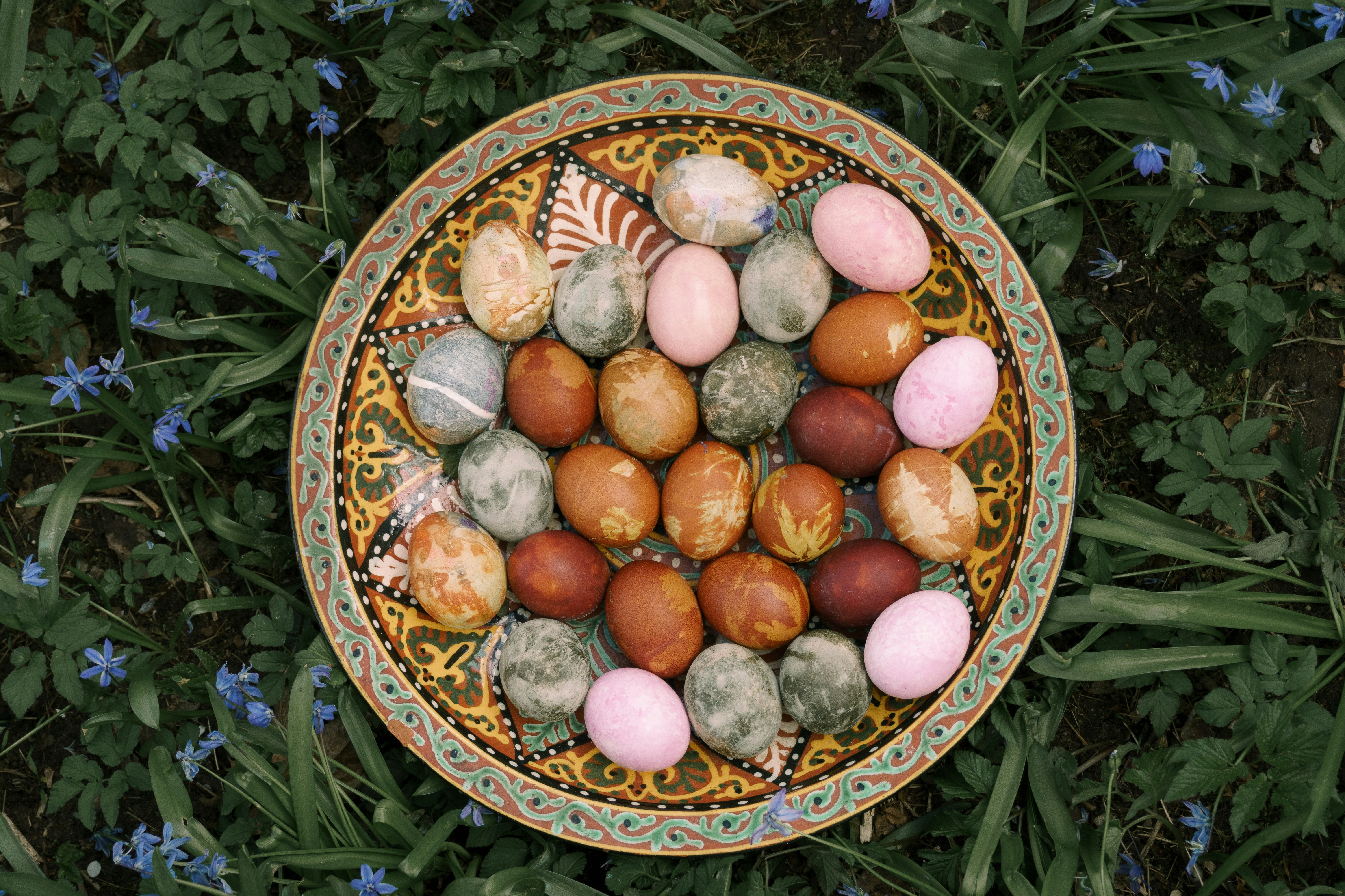 Decorated easter eggs arranged on a plate. photo – Free Outdoor Image ...