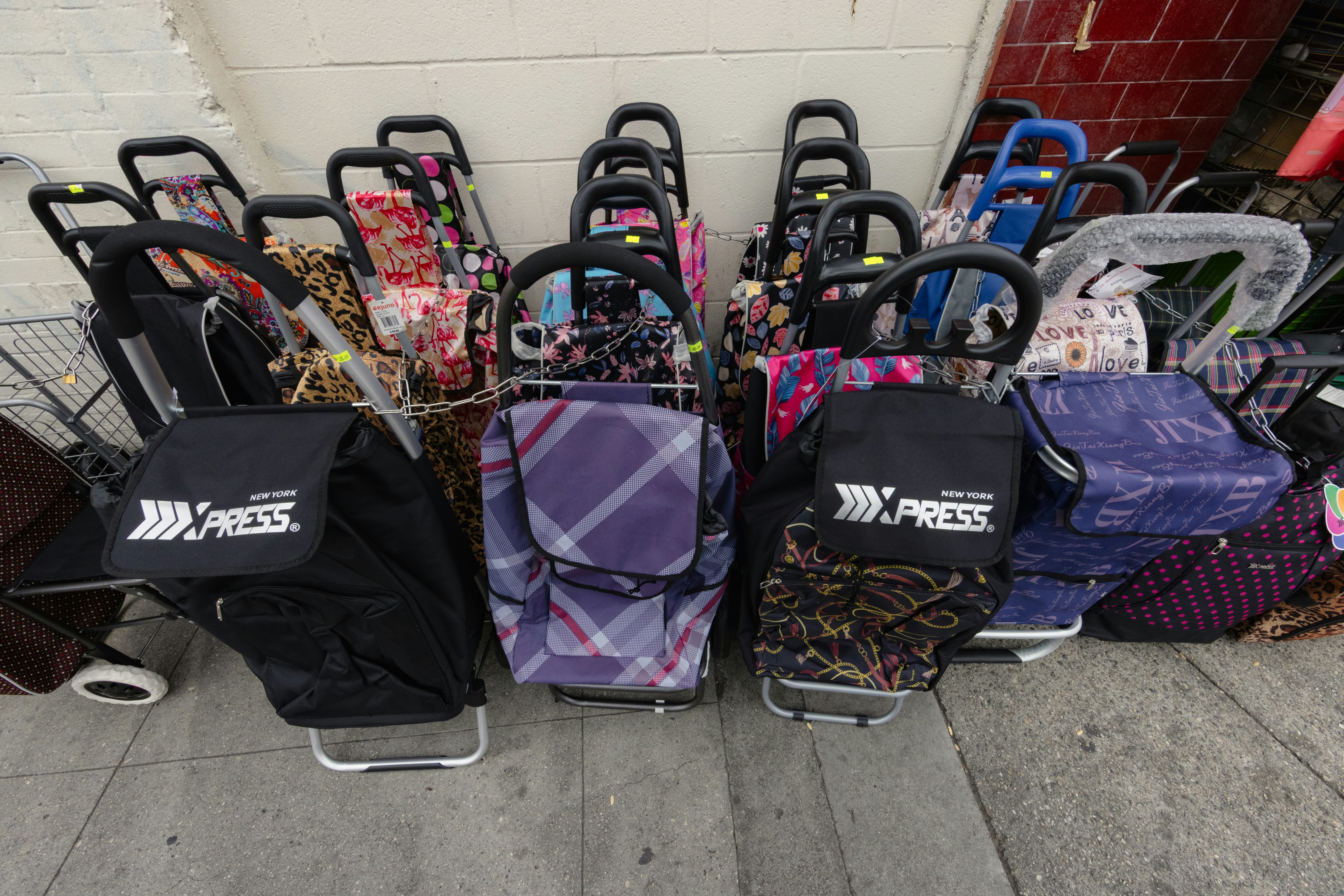 Shopping carts are lined up together outside. photo – Free Art Image on ...