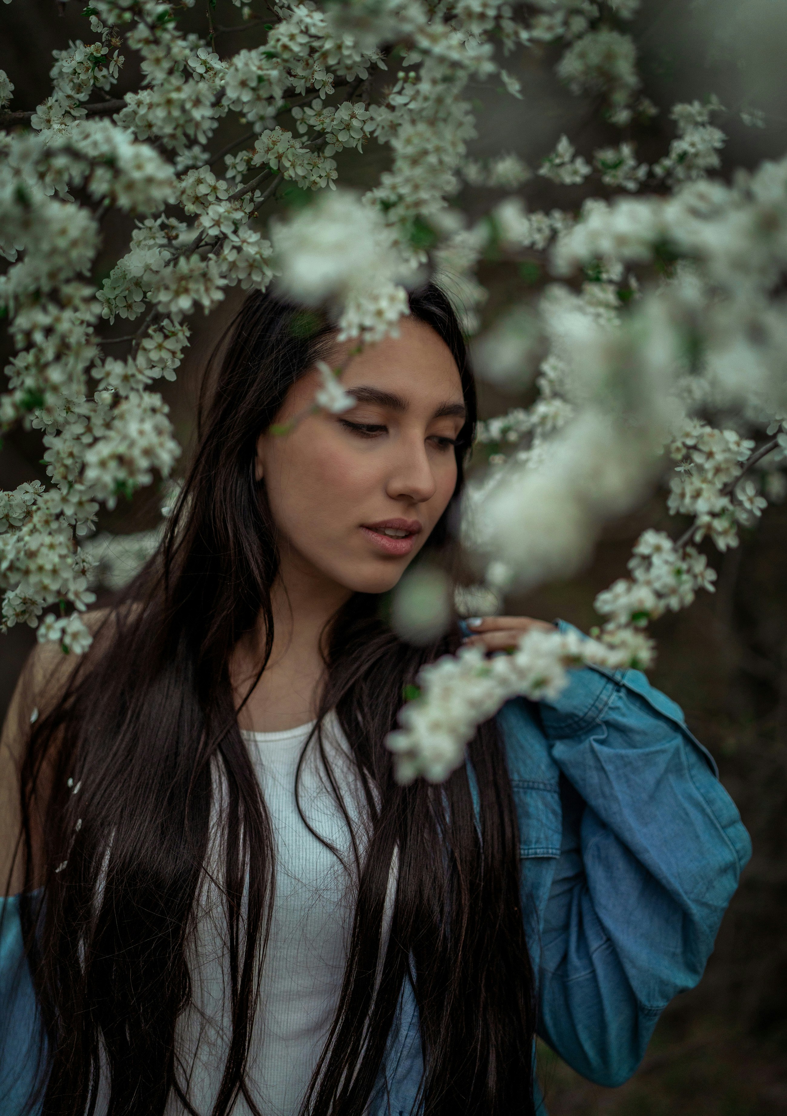 Soft Reverie Among White Blossoms: A Portrait Through Fragrant Veils