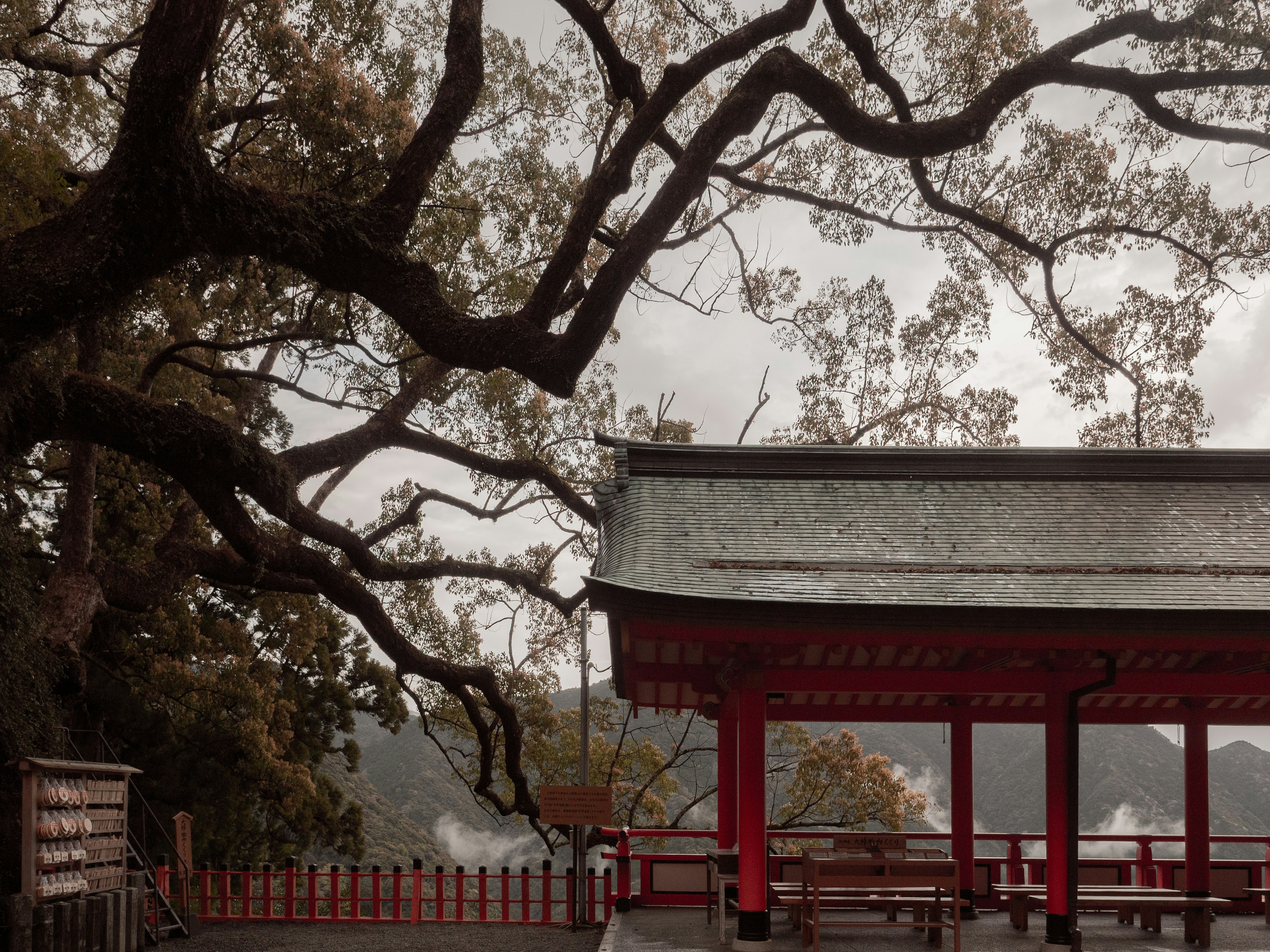 Michael Bai (@sbai) | Unsplashフォトコミュニティ