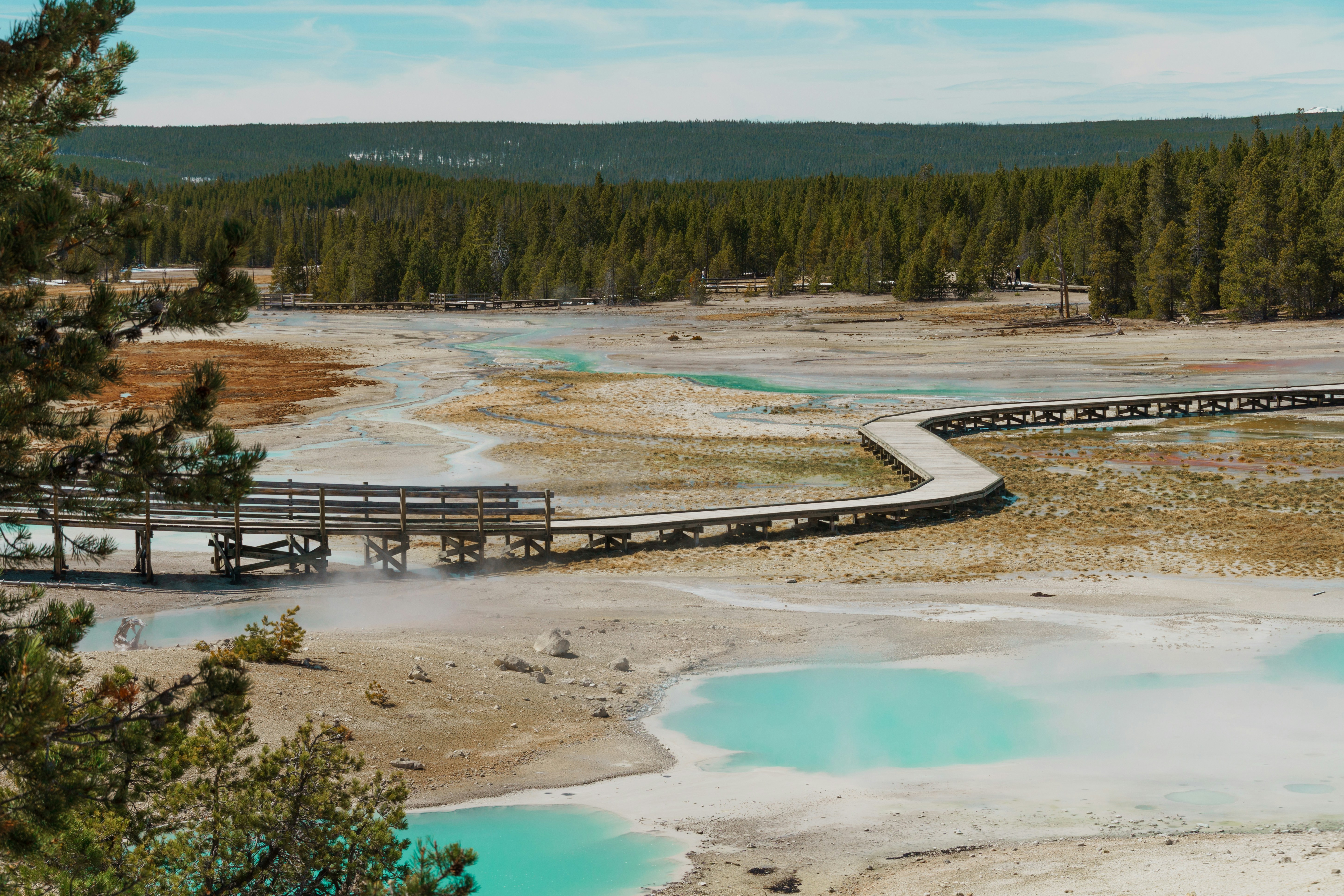 A wooden walkway curves through a scenic landscape. photo – Free ...