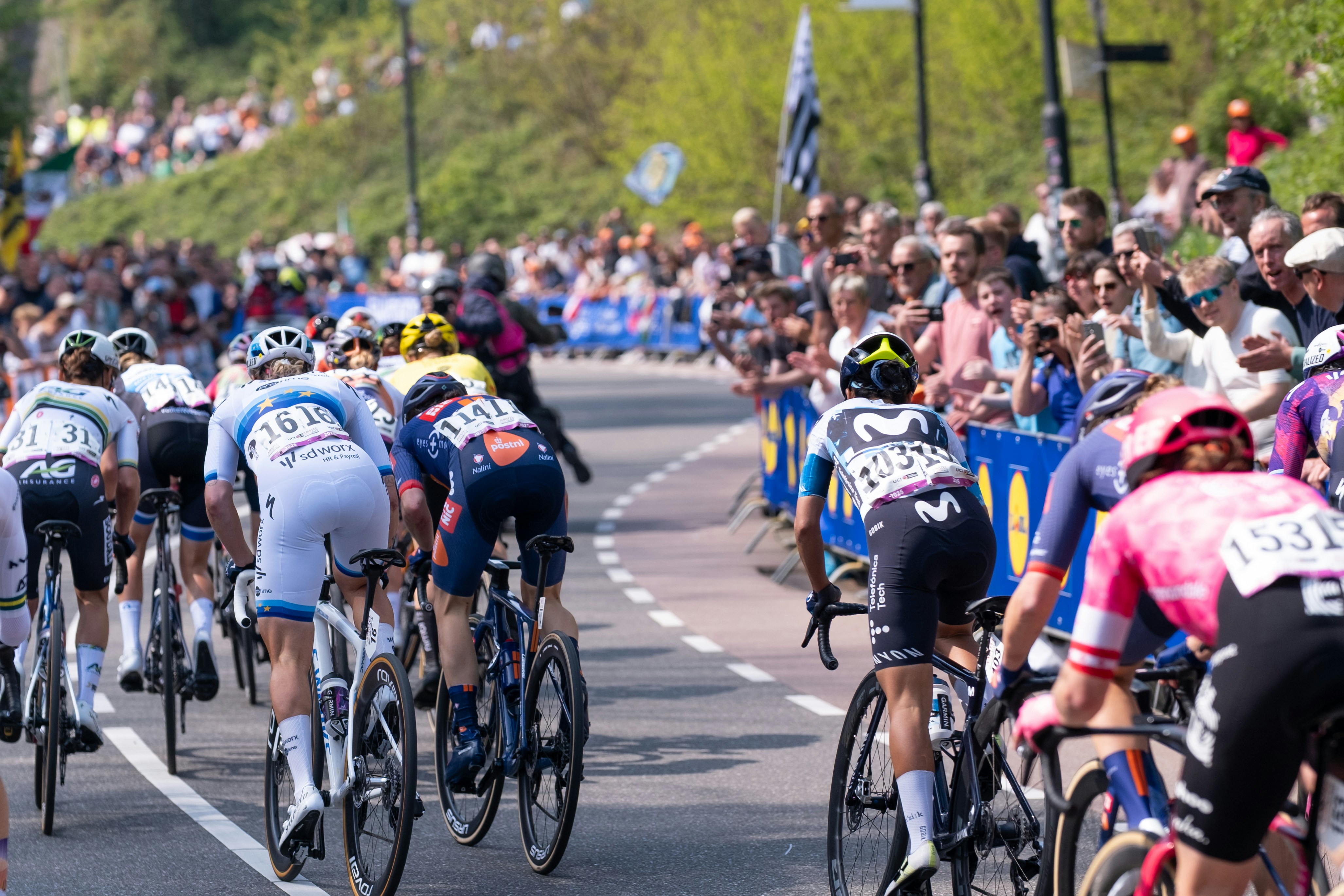 Cyclists race down a road with cheering spectators. photo – Free Woman ...