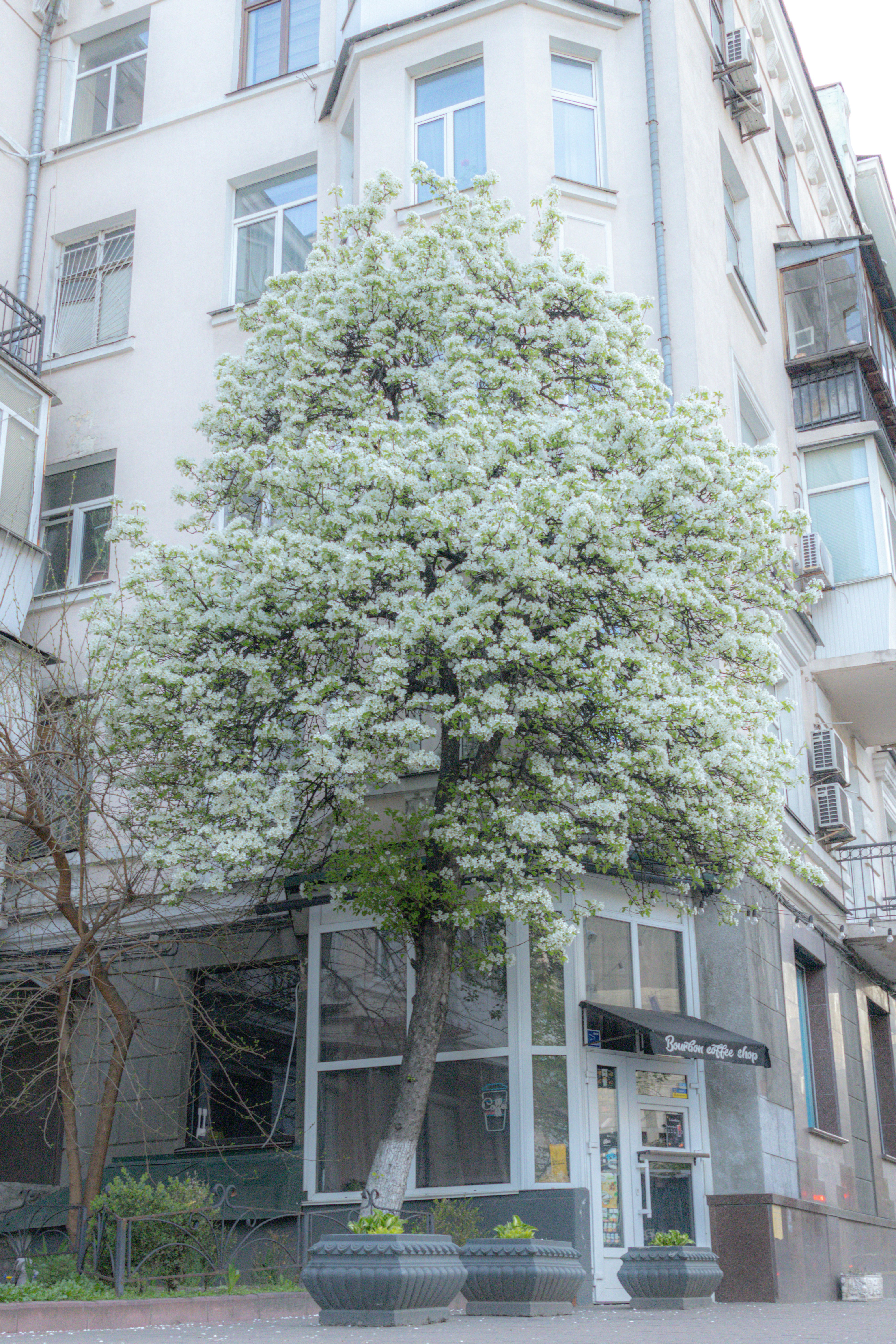 Photo by Gleb Paniotov with Canon EOS R50