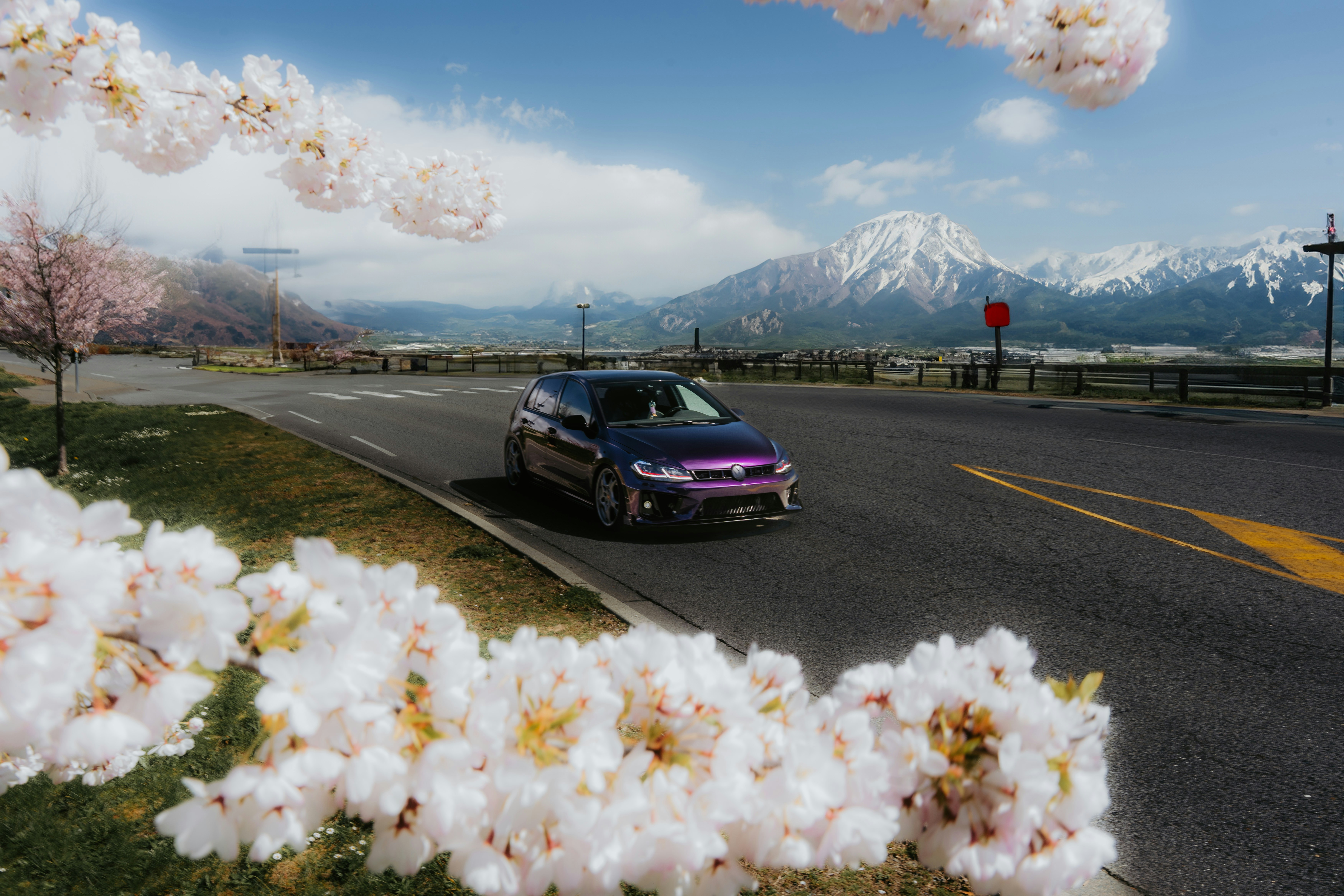 Magenta SUV on a Cherry-Blossom Boulevard with Snowy Peaks in the Background