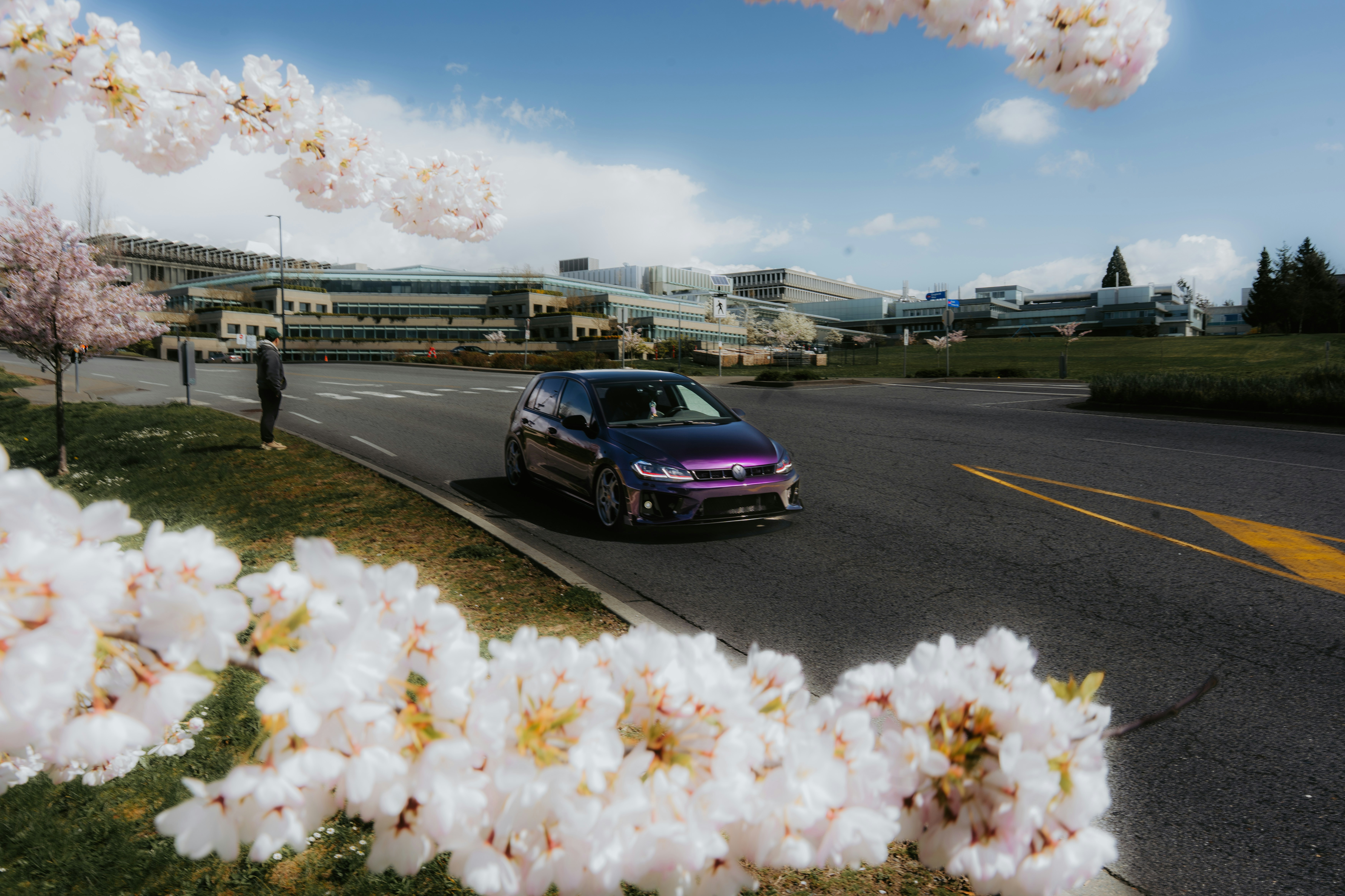 Purple sedan threads through a blossom-framed campus street at springtime