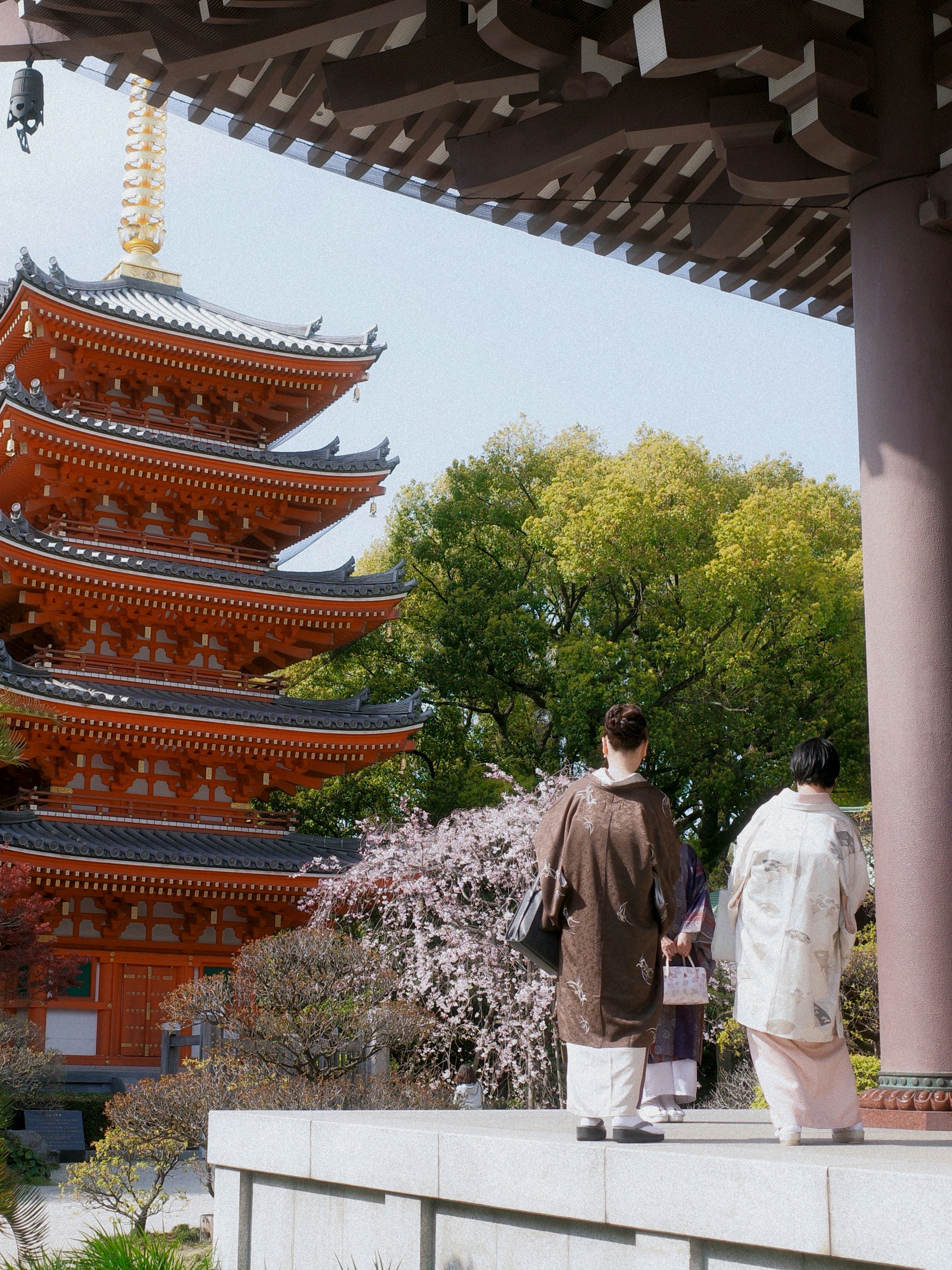 Harmony of Tradition and Nature