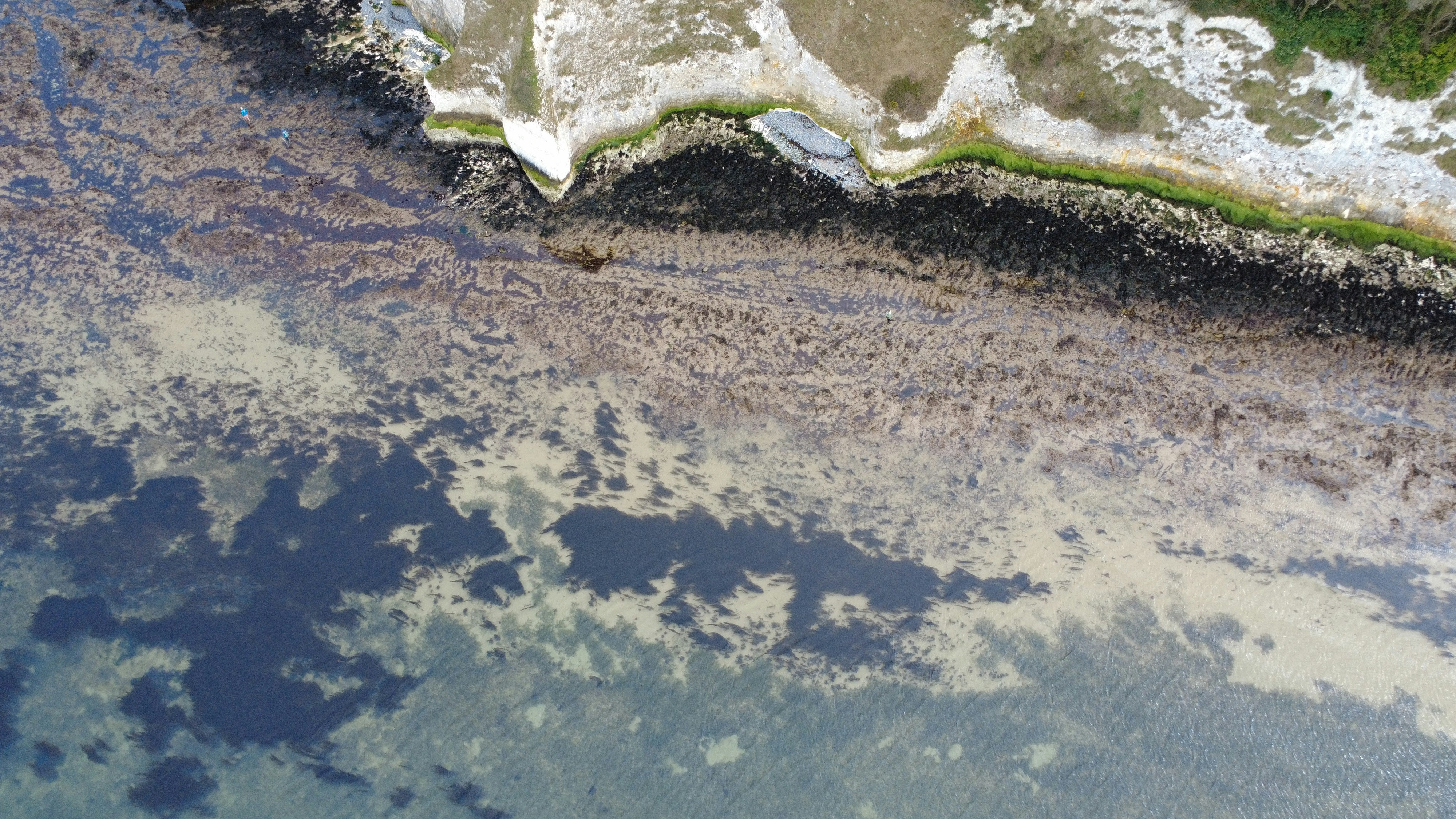 The shoreline reveals water and textures from above. photo – Free Sea ...