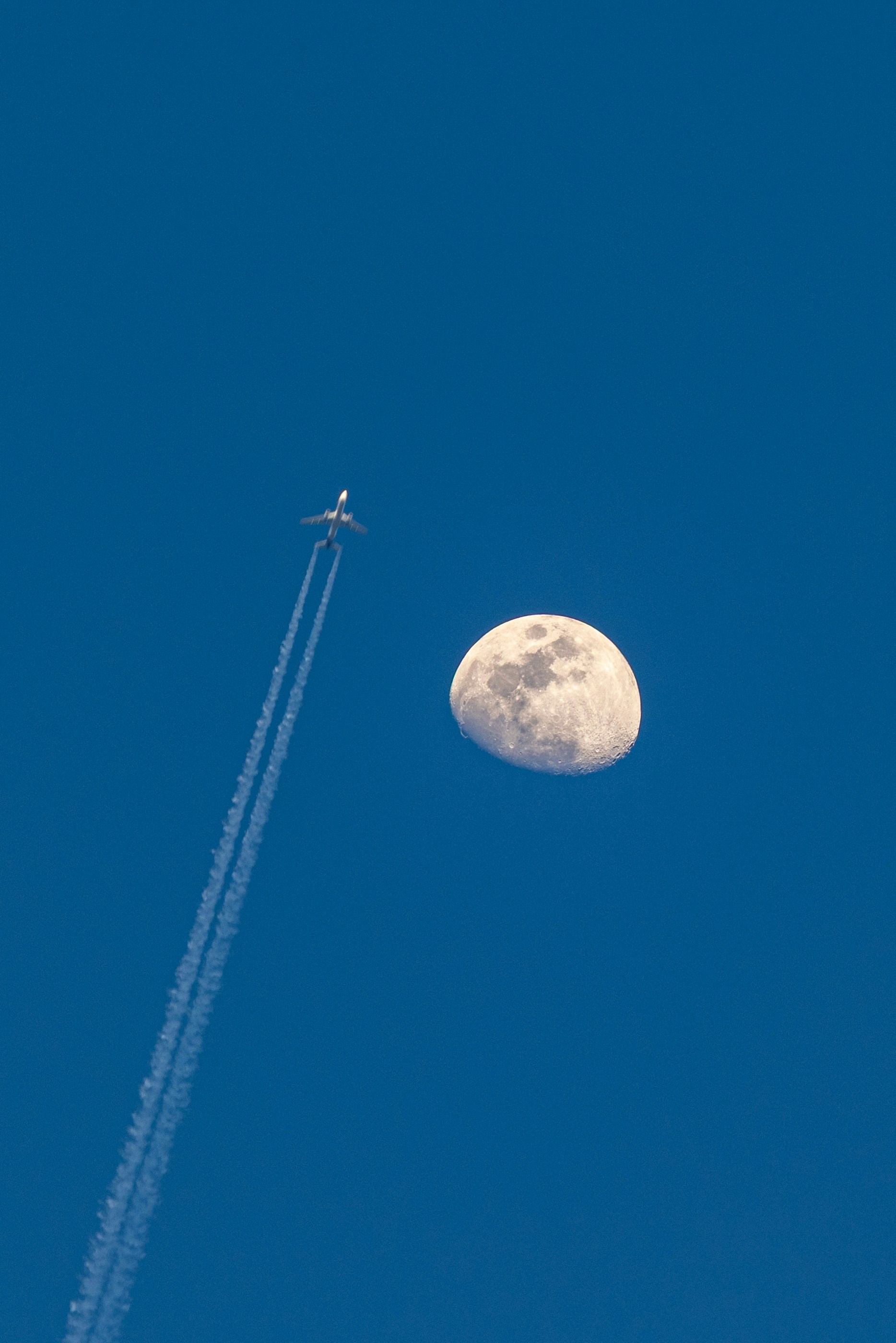 Airplane flying past the moon in a blue sky. photo – Free Moon Image on ...