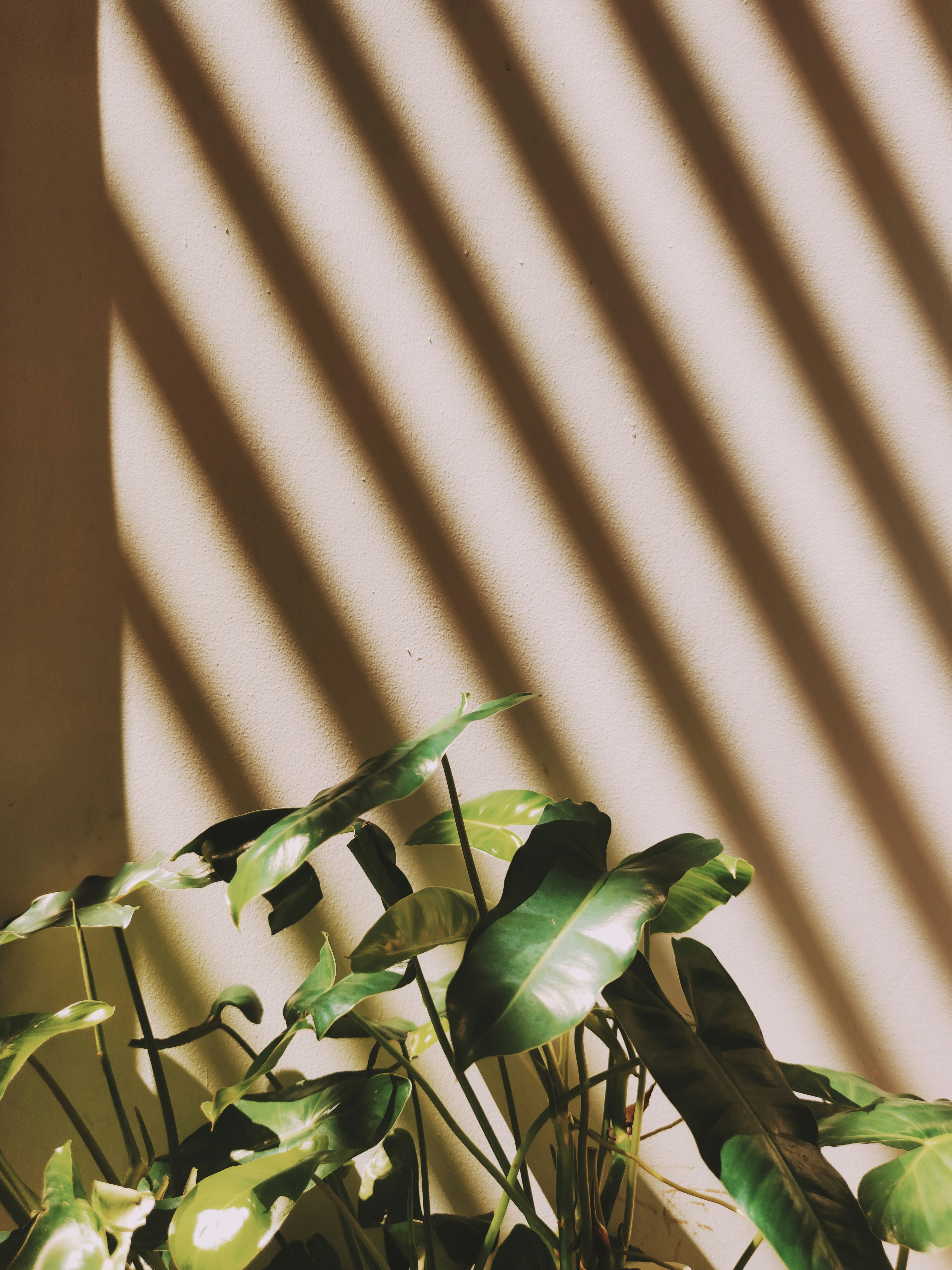 Photo by Ivy Aralia Nizar with Xiaomi Mi Note 10