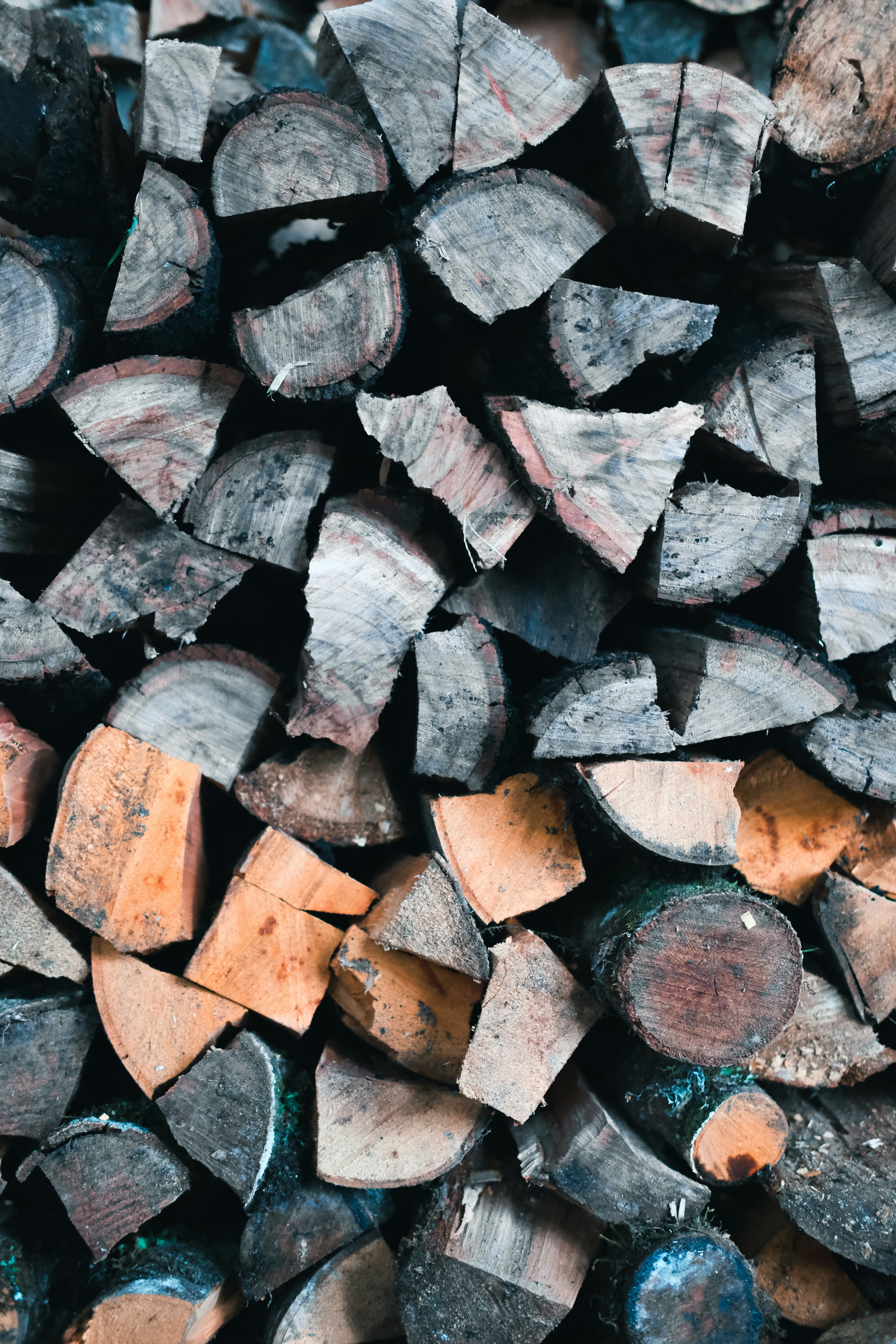 A close-up view of neatly stacked firewood, showcasing a variety of wood textures and colors. The arrangement highlights the natural beauty and diversity of the logs.