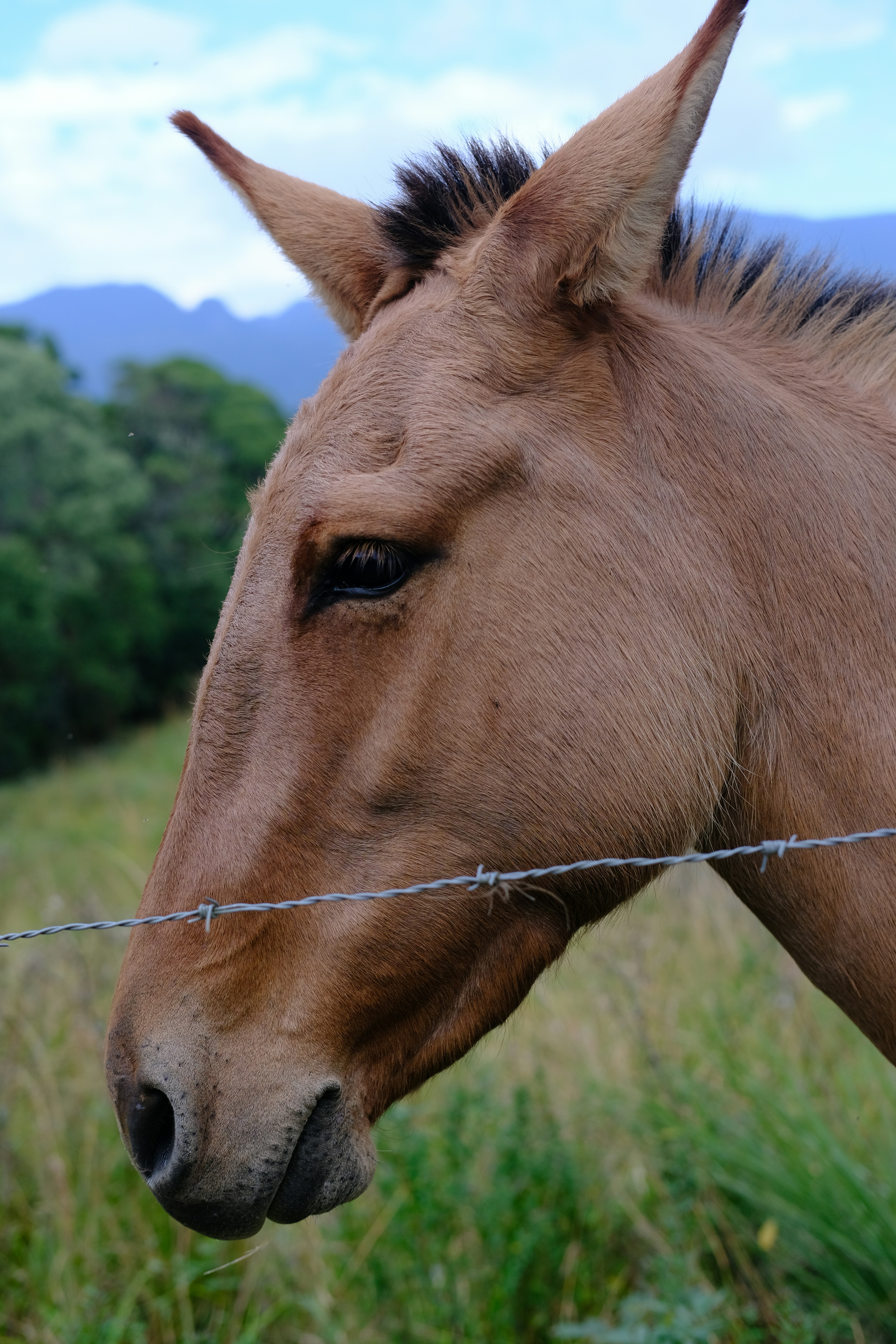 Photo by Joao Vitor Marcilio with Fujifilm X-T30