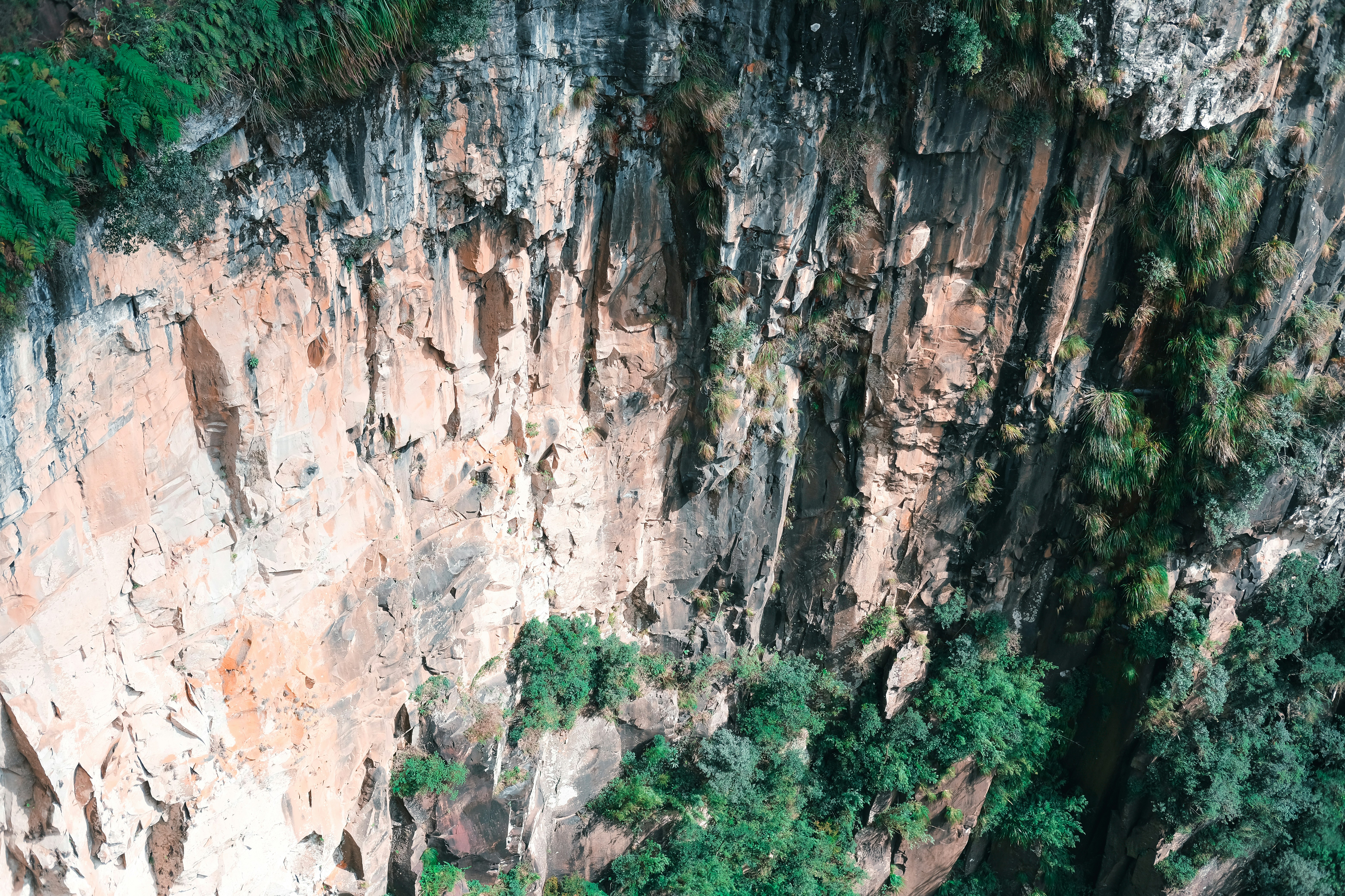 Photo by Joao Vitor Marcilio with Fujifilm X-T30