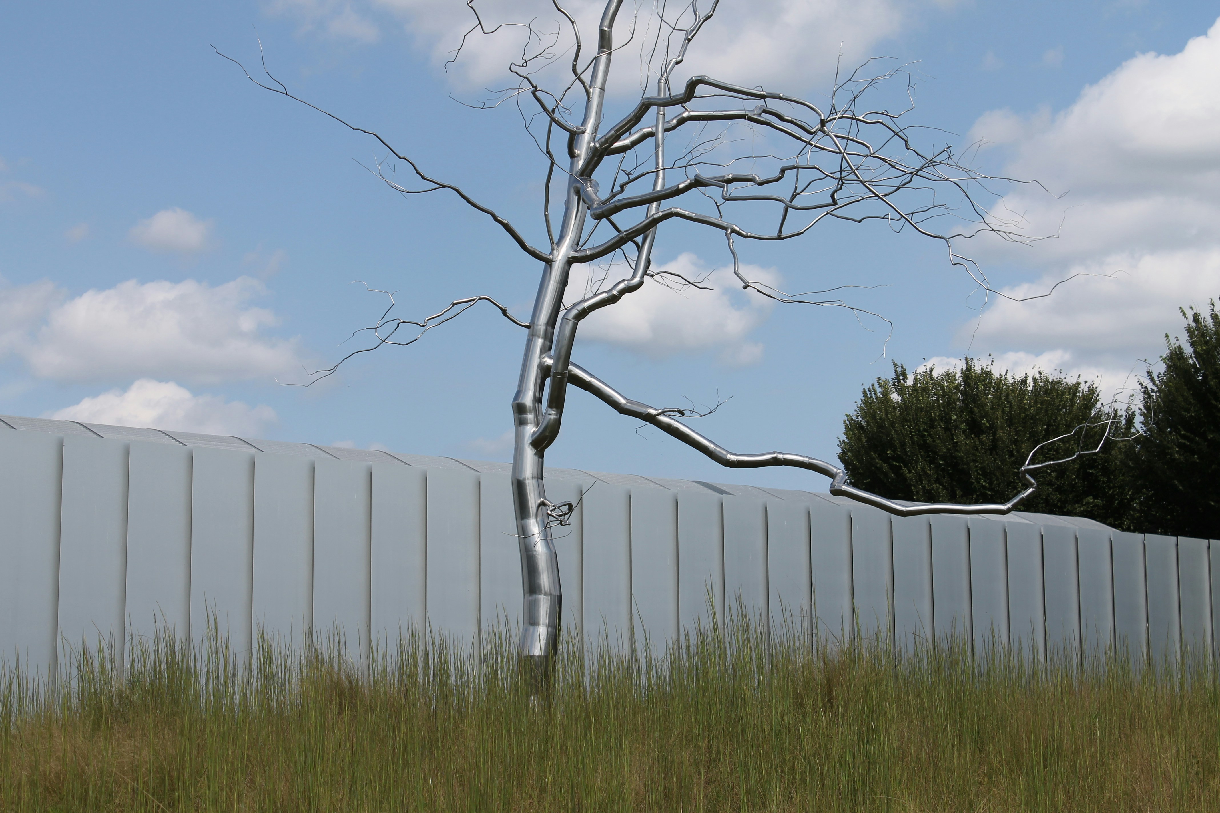 Bleached Arboreal Sentinel Standing Against a Steel Horizon