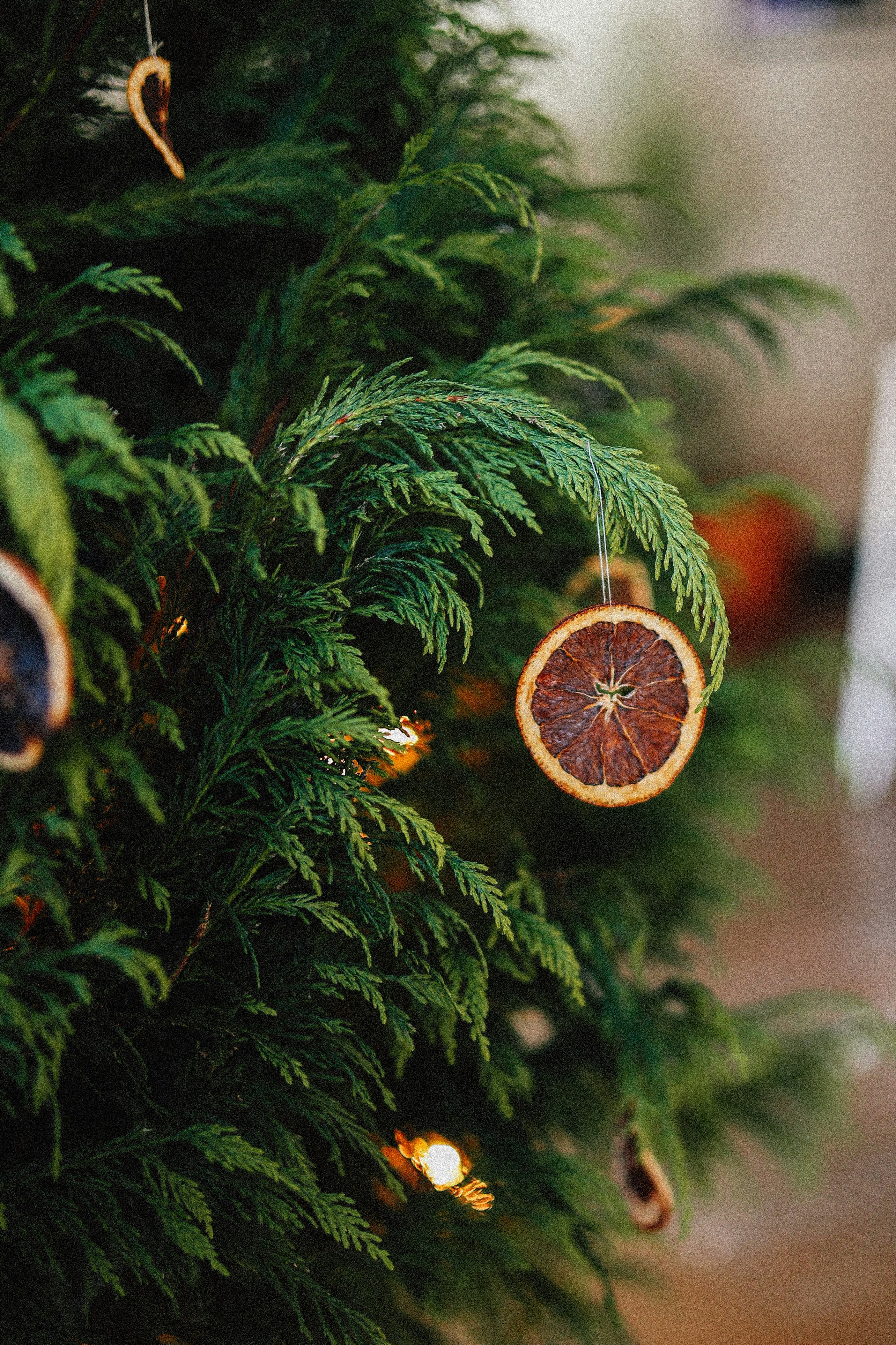 Citrus Ornaments: A Festive Touch