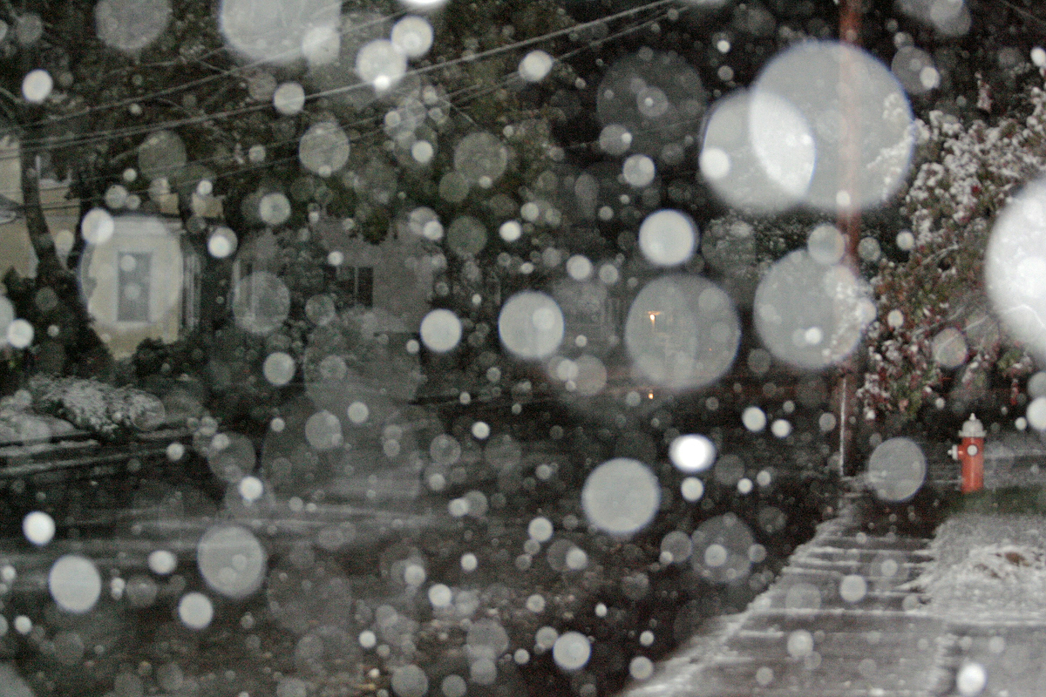 Les flocons de neige brouillent la vue un jour d’hiver. photo – Image ...