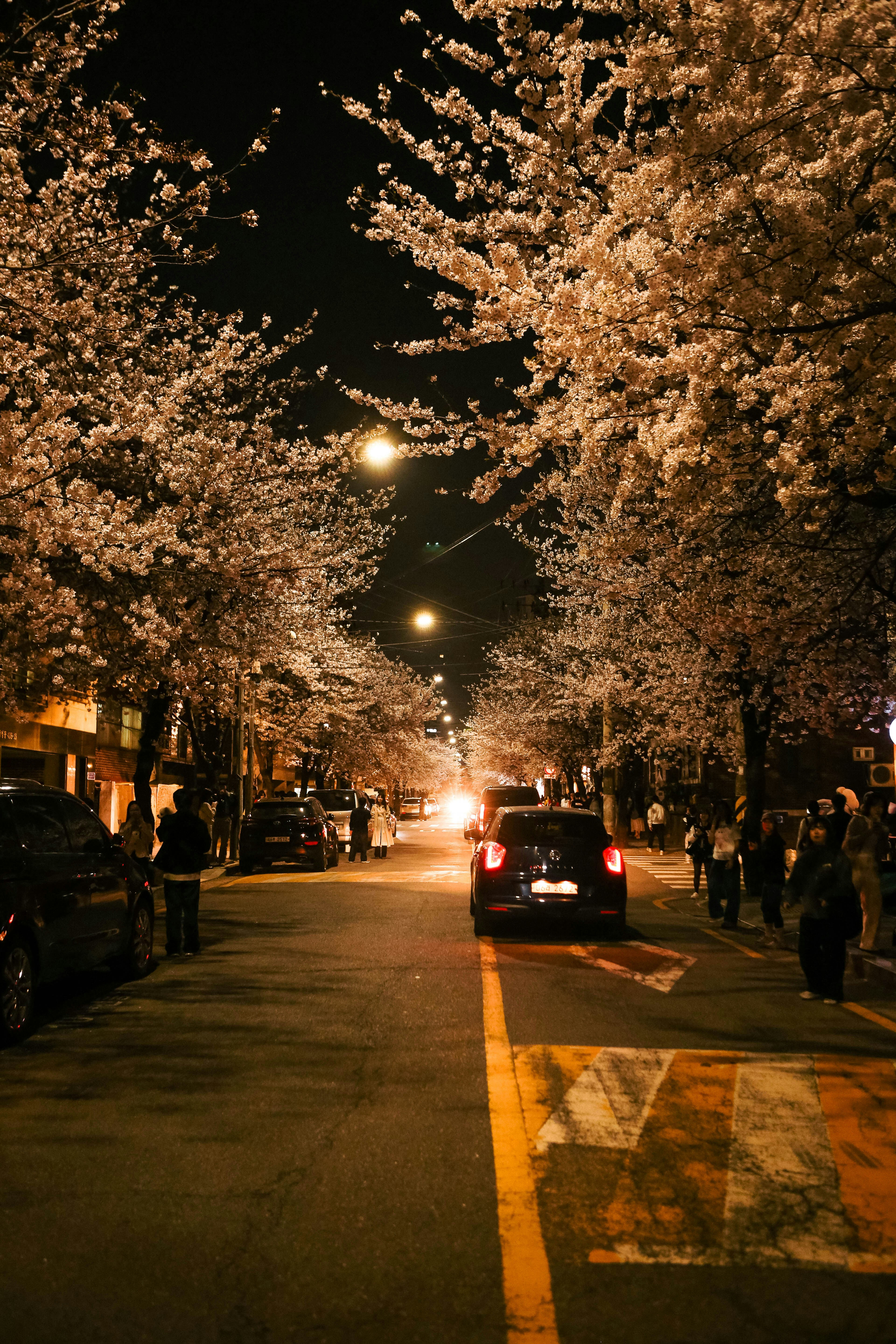 Photo by HANVIN CHEONG with Canon EOS 5D Mark III
