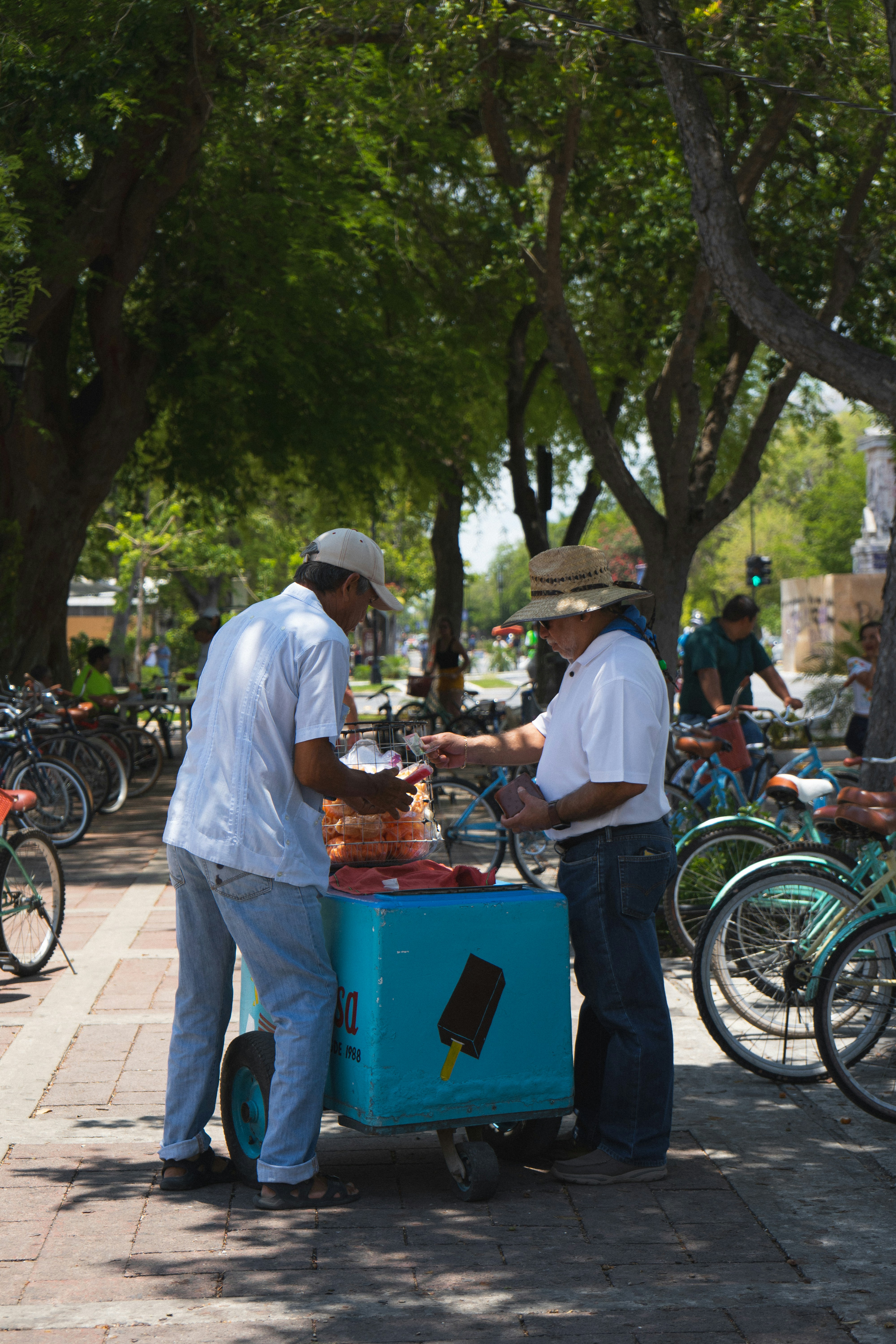 Street Vendor Exchange at a Sunlit Park