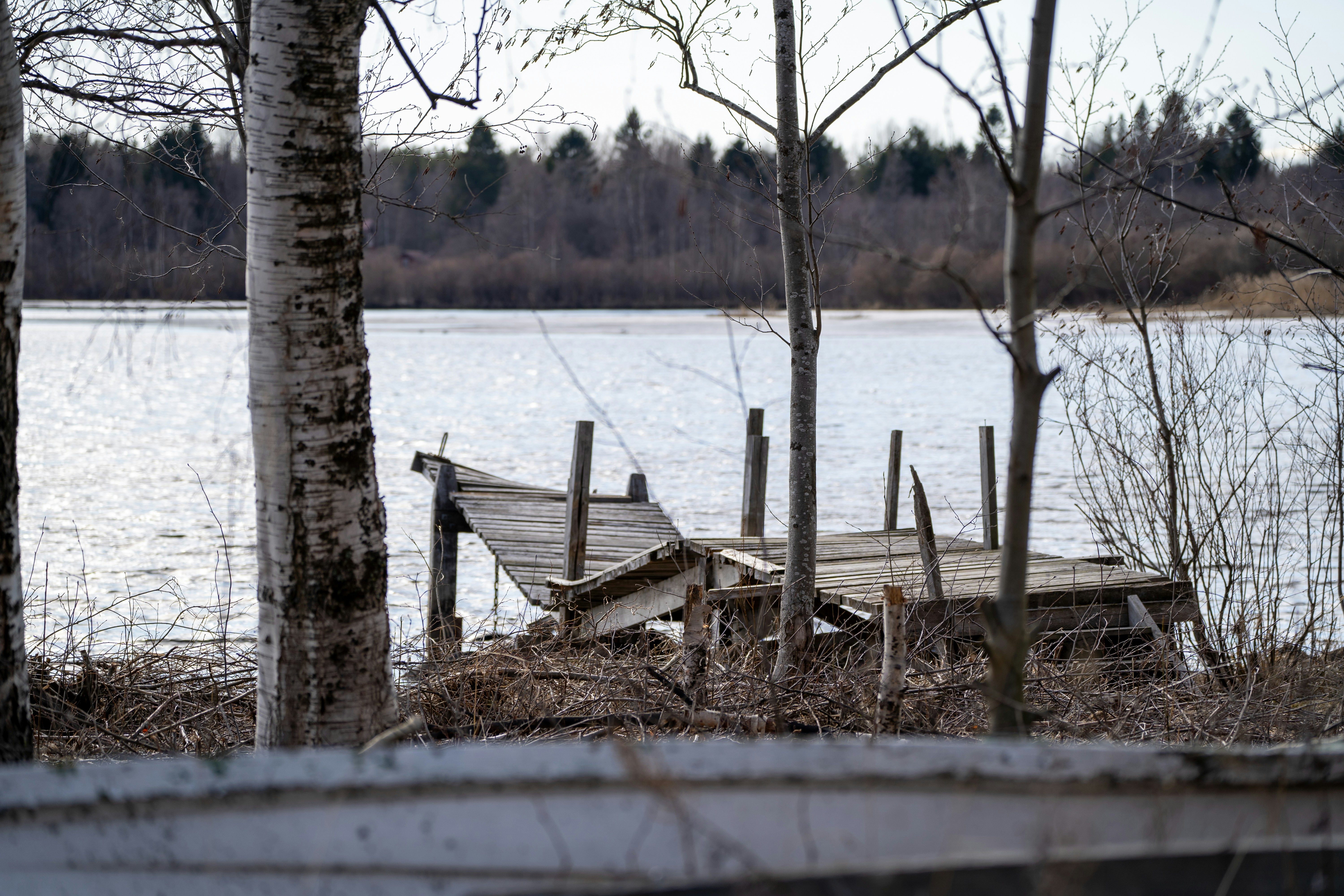A dilapidated dock sits by a calm lake. photo – Free White Image on ...