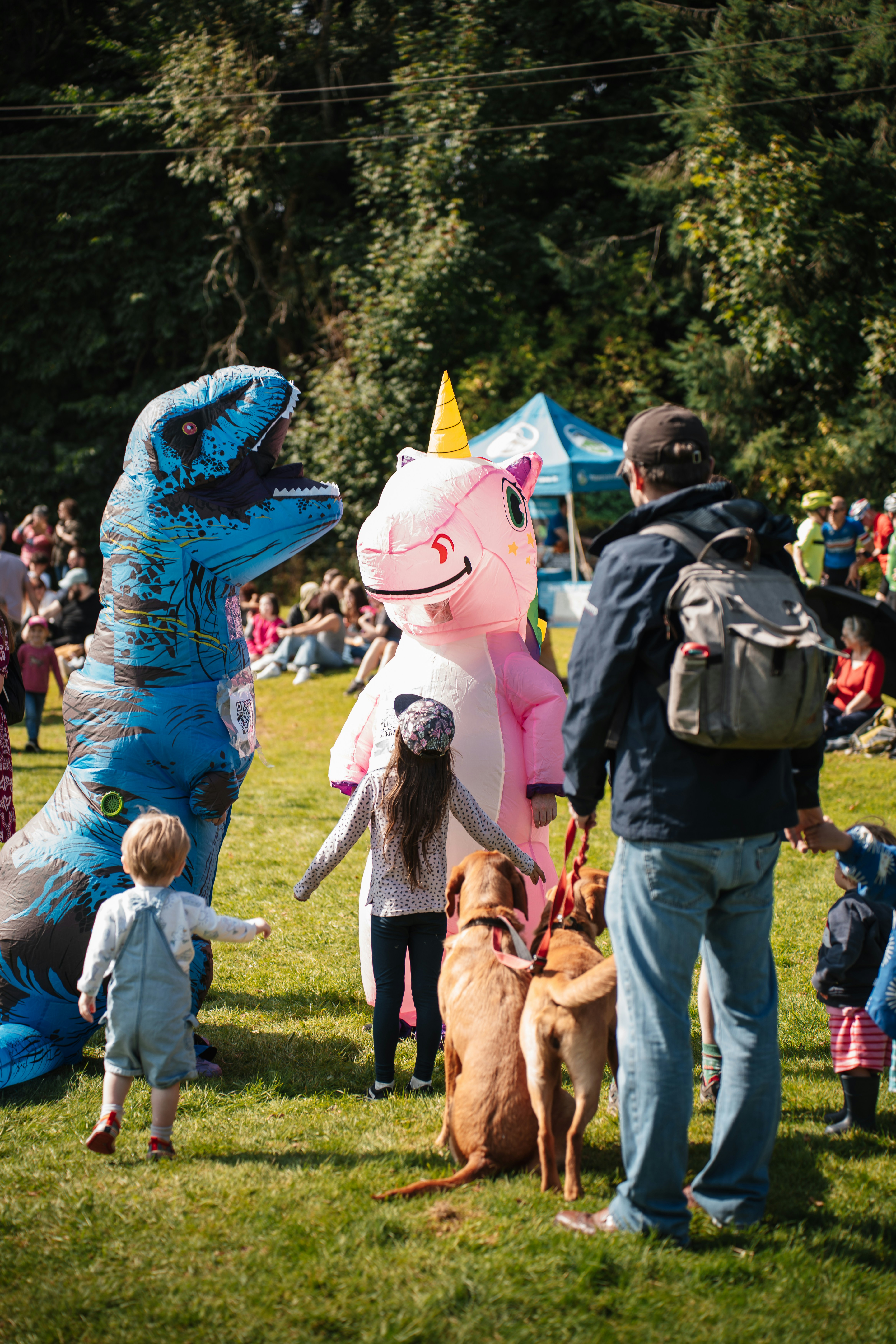 Sunlit Park Encounter: Inflatable Dinosaurs Meet a Pink Unicorn