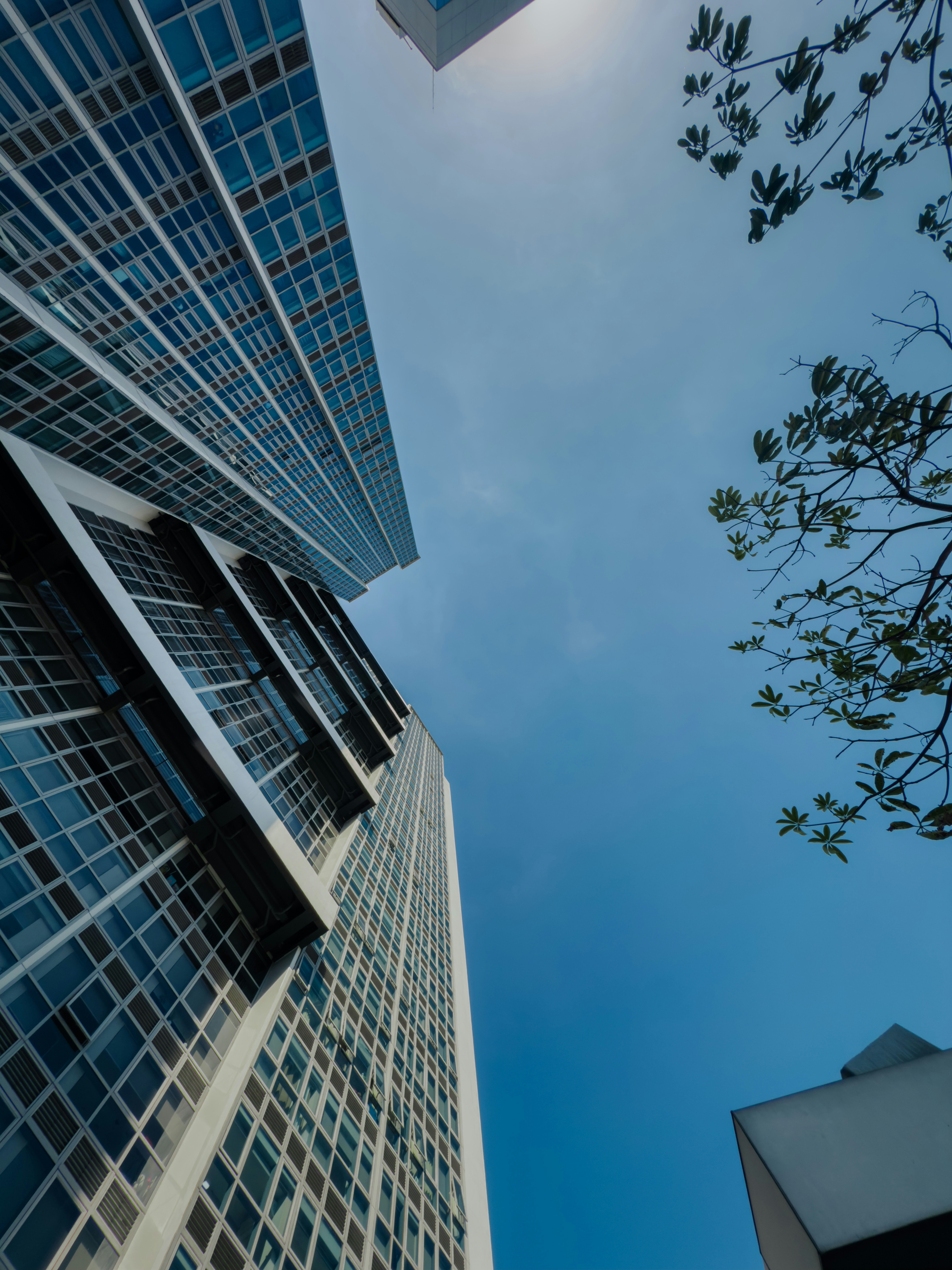 Skyscrapers tower upward against a bright blue sky. photo – Free ...