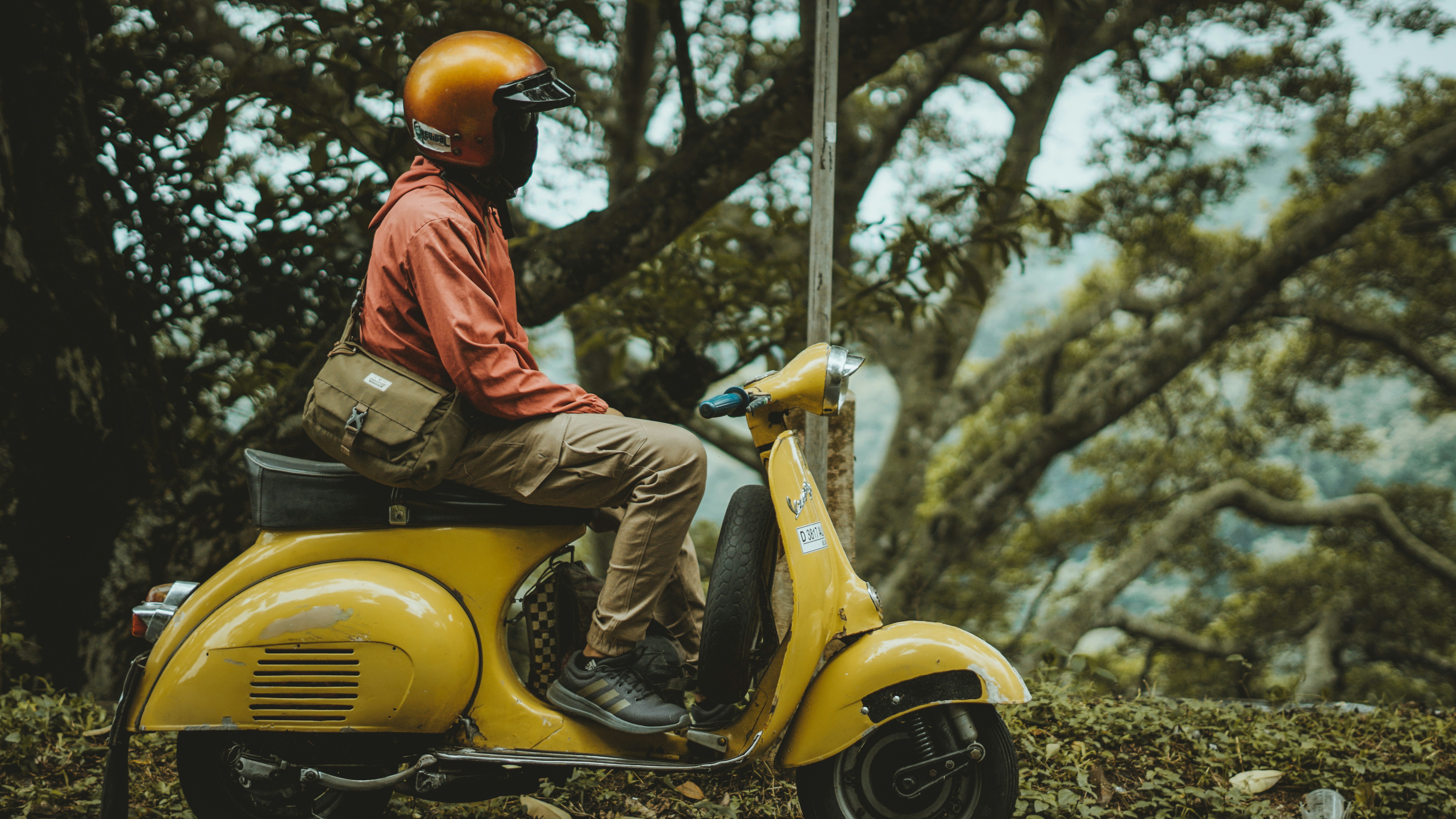 Amber Vespa on a Mossy Woodland Path