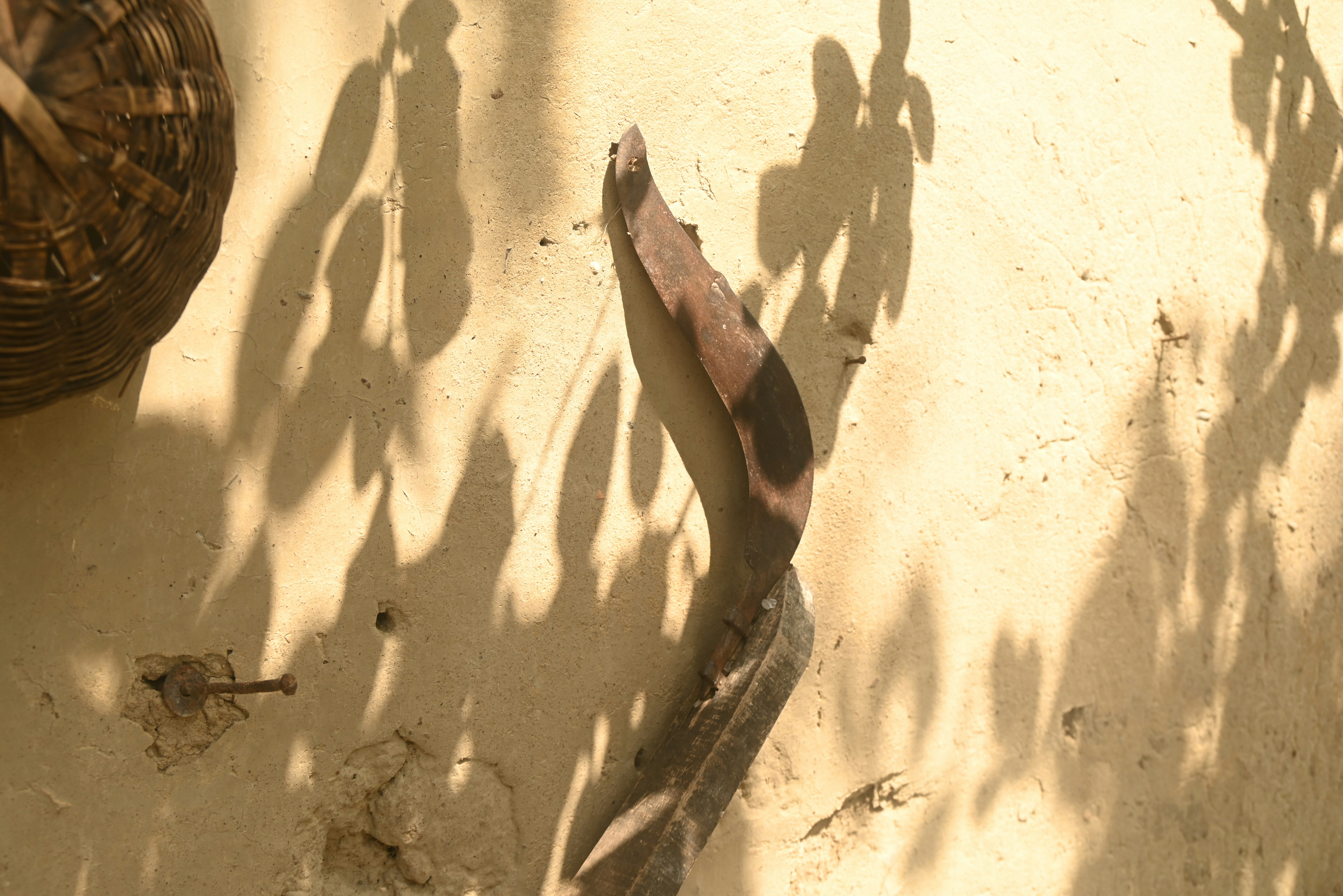 Sunlit Rust Lean: A Weathered Tool Framed by Leaf Shadows on a Sand-Colored Wall