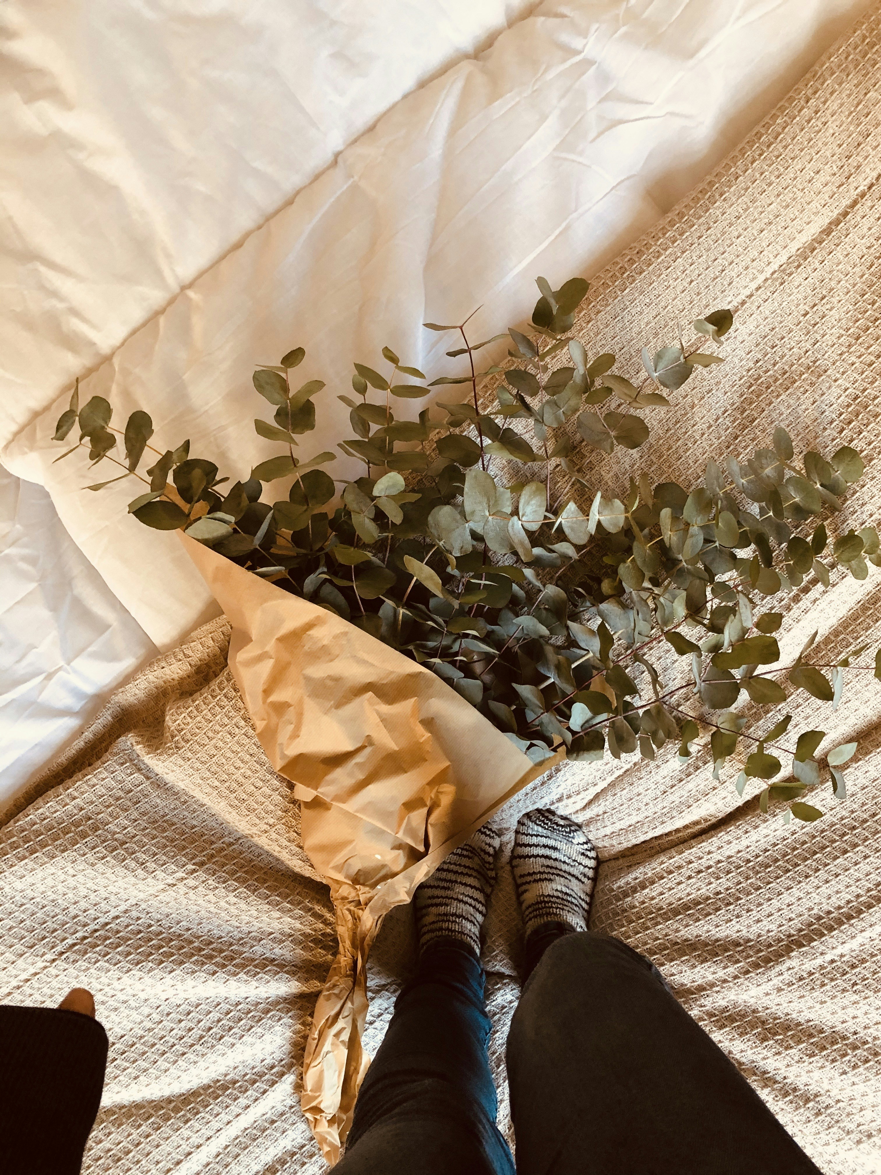 Grounded Elegance: A Touch of Nature