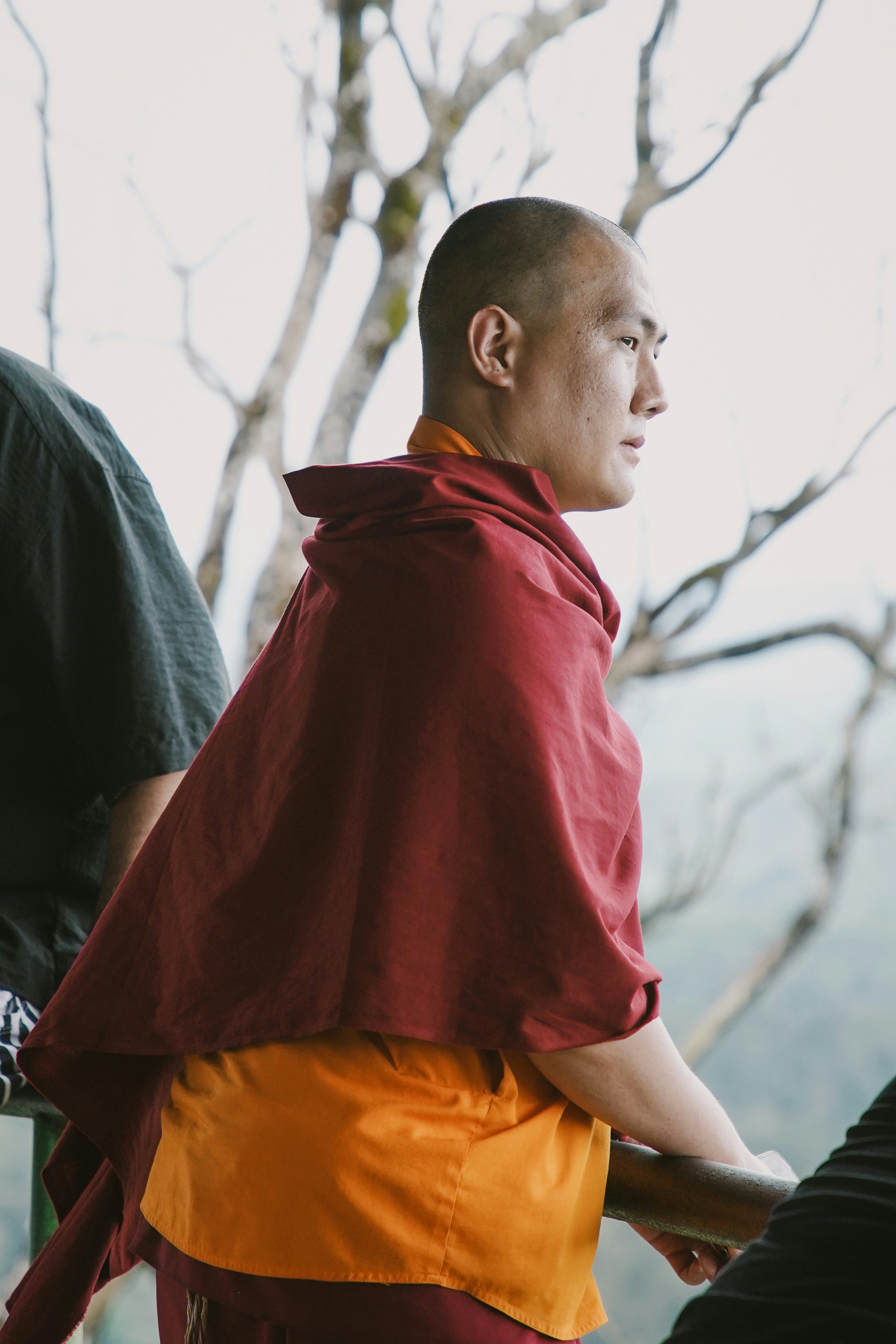 Buddhist monk in traditional attire gazing thoughtfully, framed by the natural backdrop of trees. The scene evokes a sense of peace and introspection.