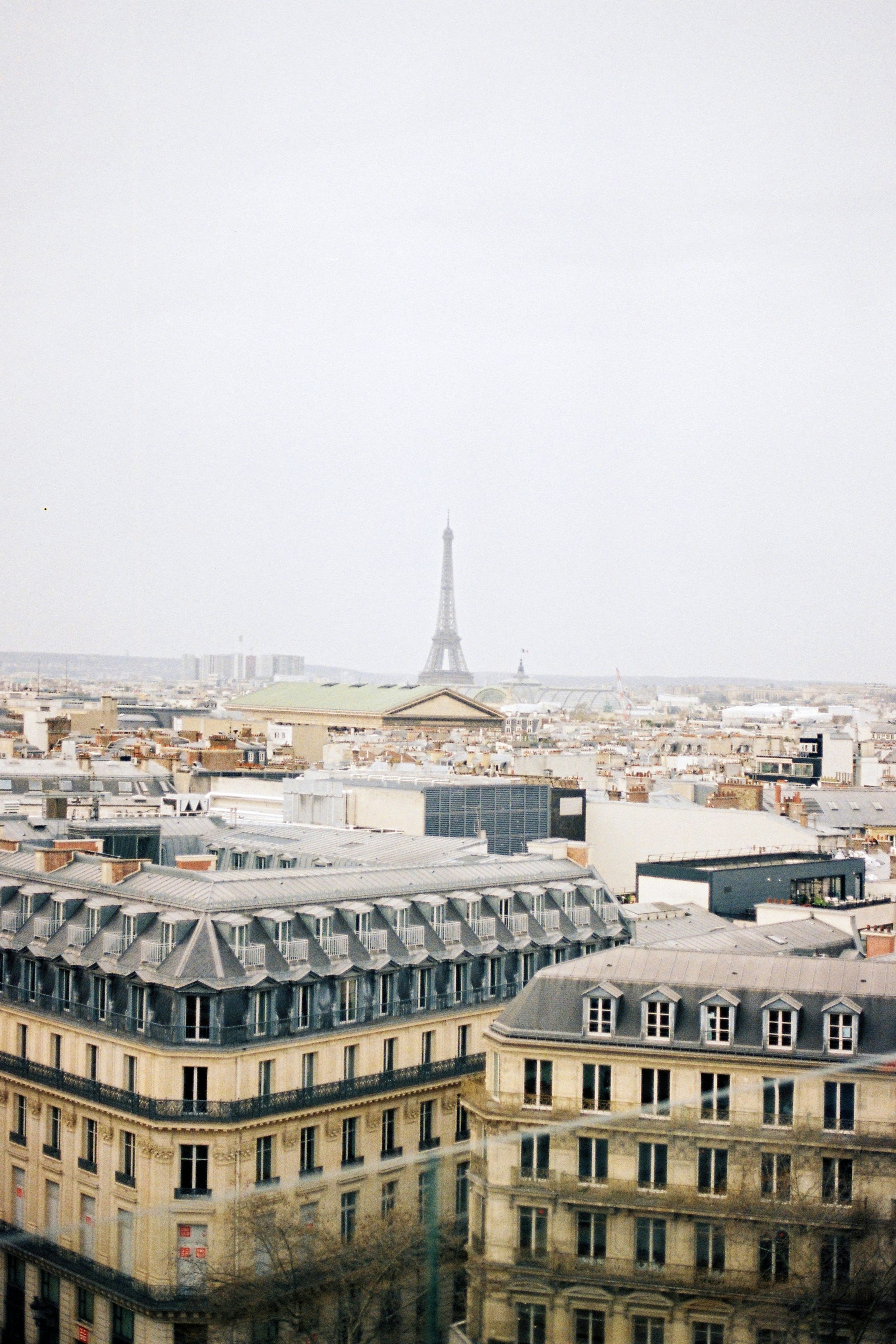 The eiffel tower towers over parisian rooftops. photo – Free Film ...