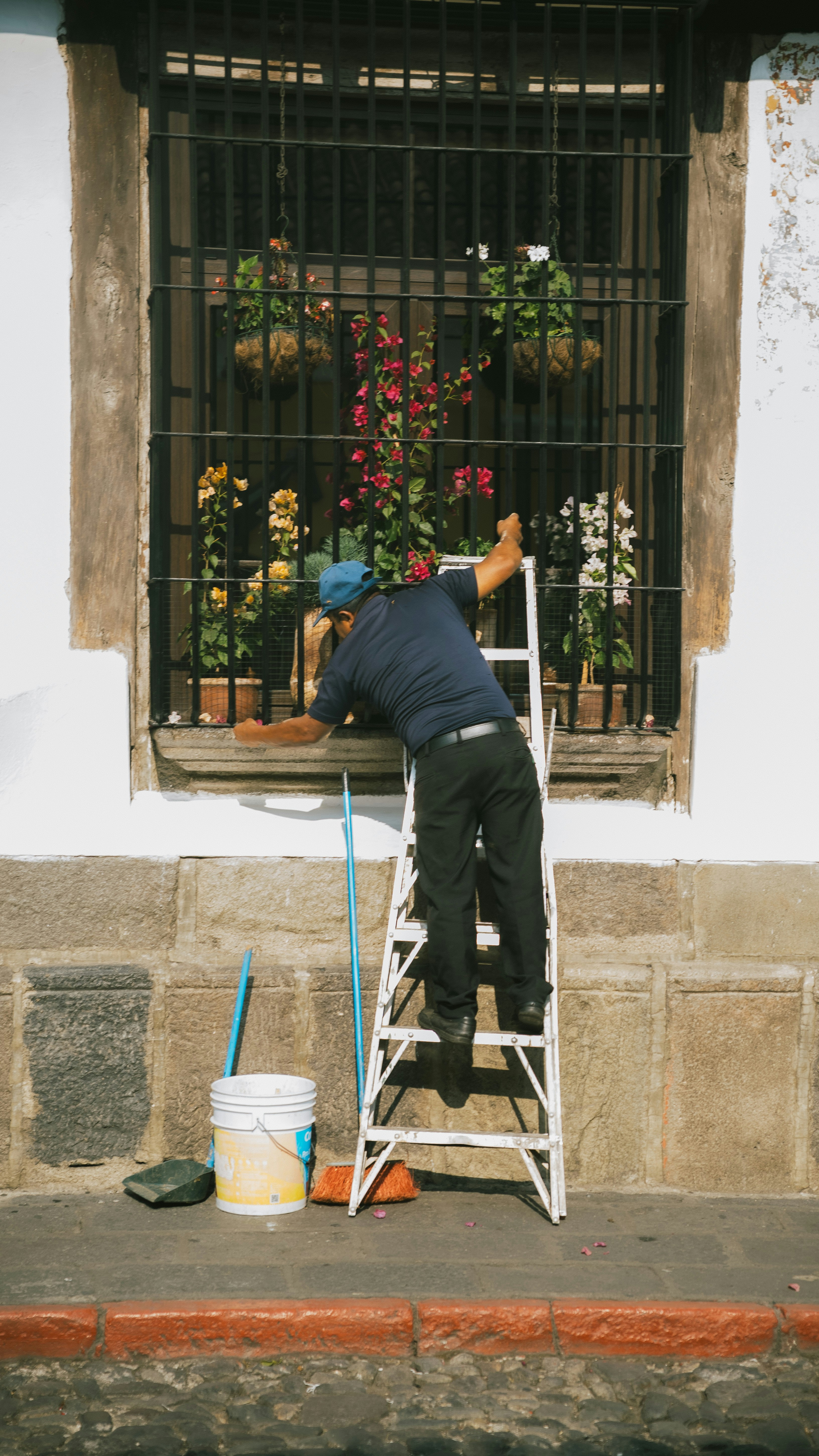 Ladder-Top Gardener Tending a Window Garden Behind Iron Bars