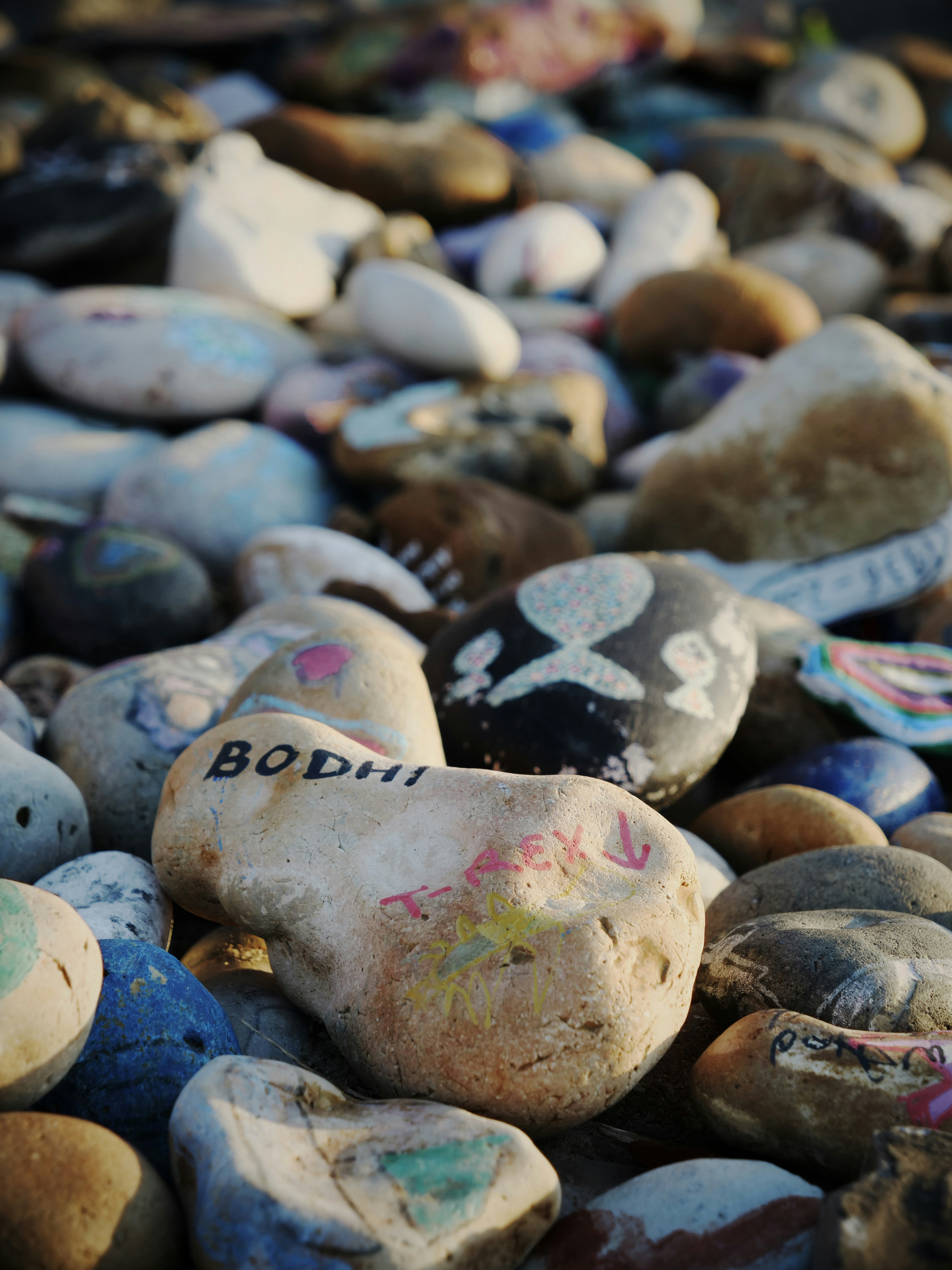 Painted rocks cover the ground.